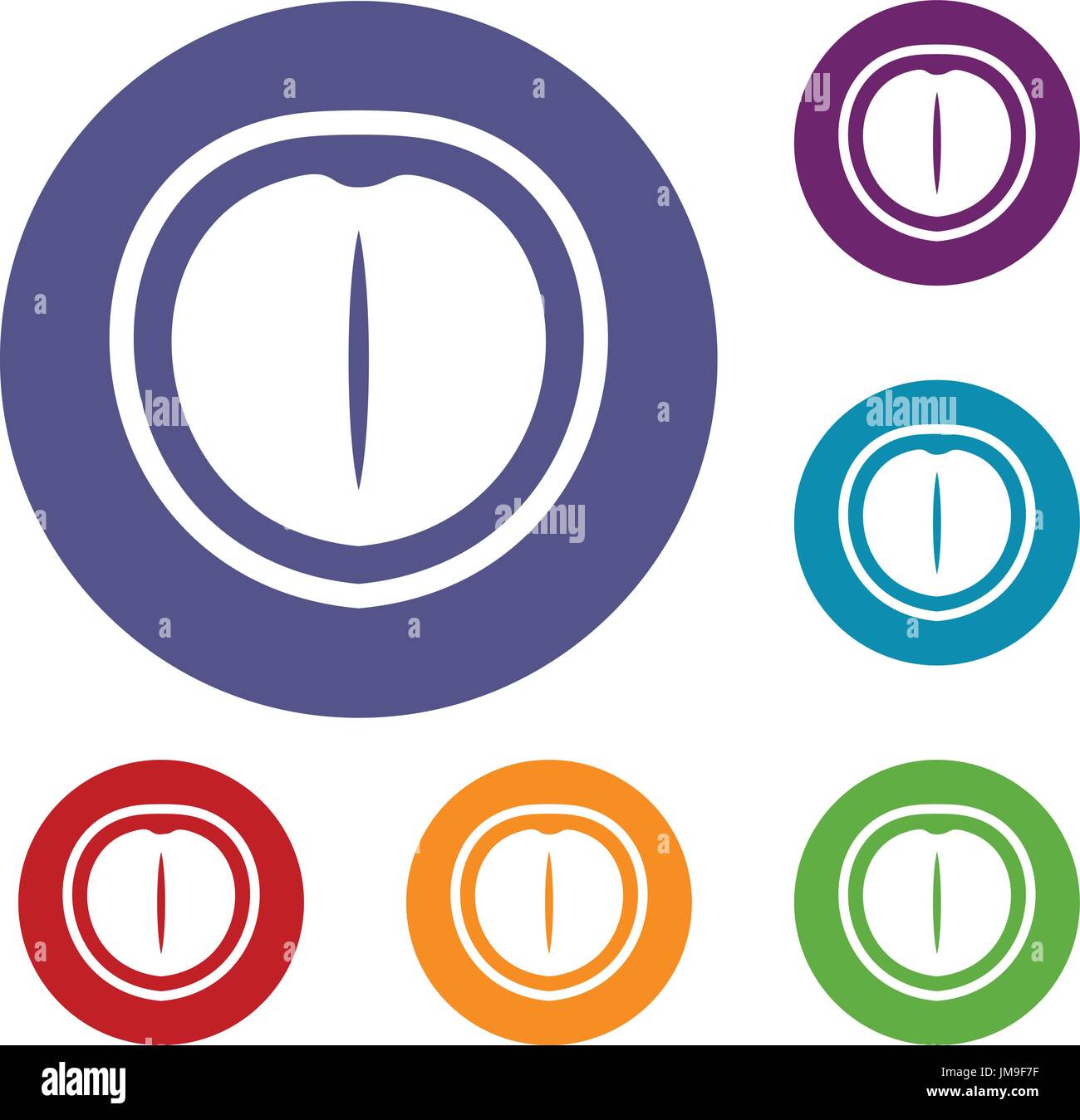 Macadamia nut icons set Stock Vector Image & Art - Alamy