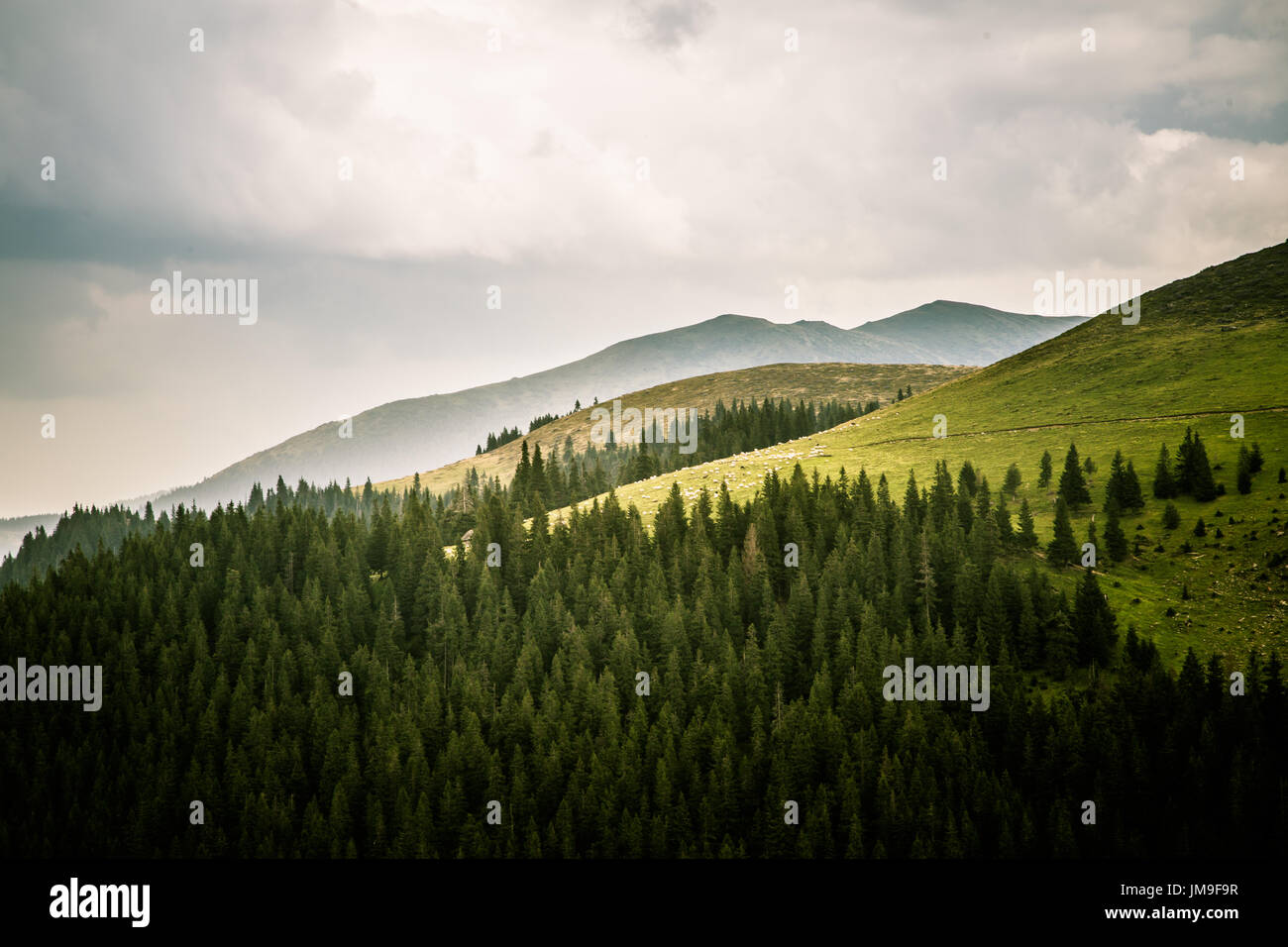 A beautiful mountain landscape in Carpathian mountains Stock Photo - Alamy