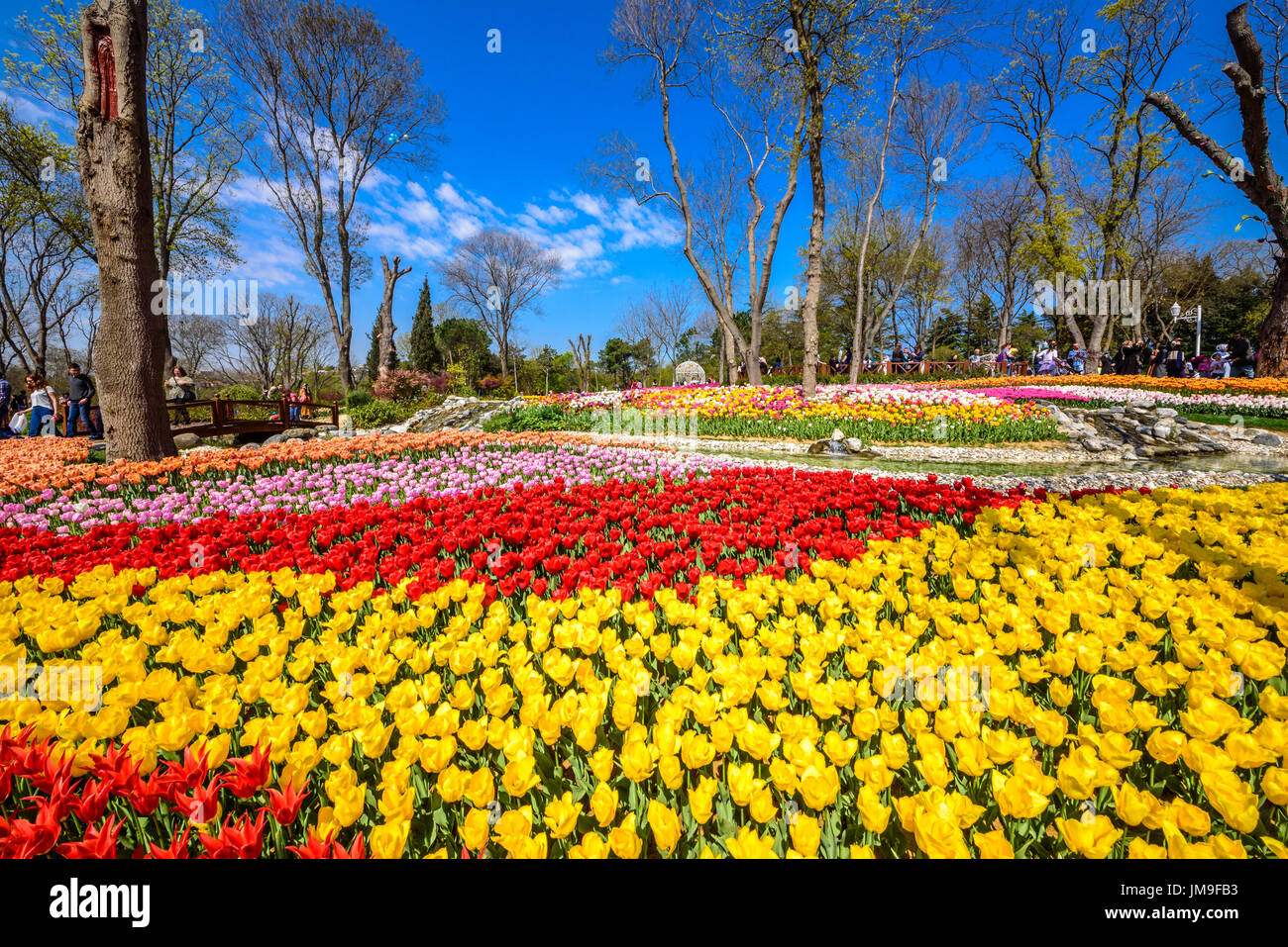 Traditional Tulip Festival in Emirgan Park, a historical urban park ...