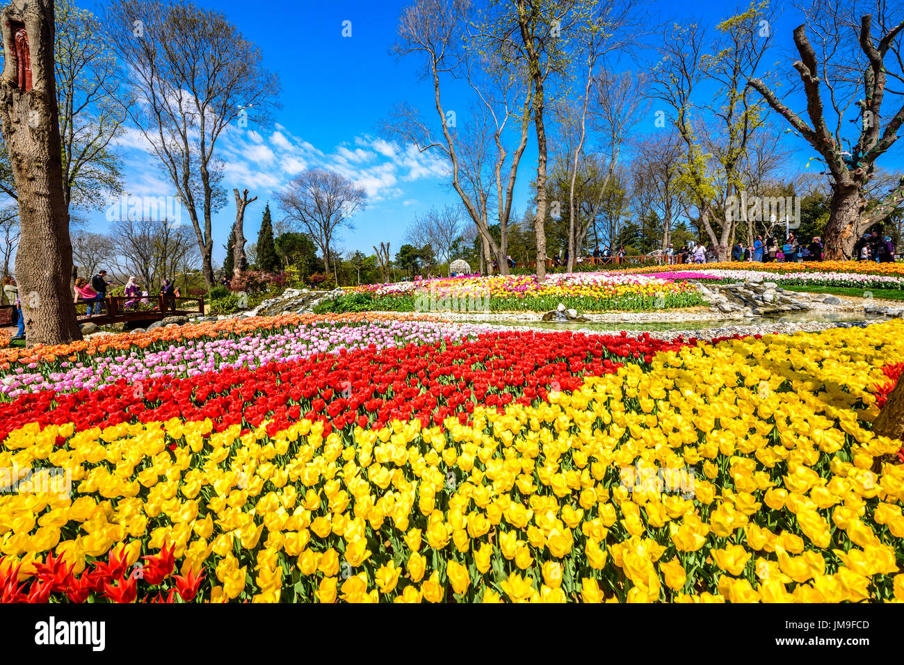 Traditional Tulip Festival in Emirgan Park, a historical urban park ...