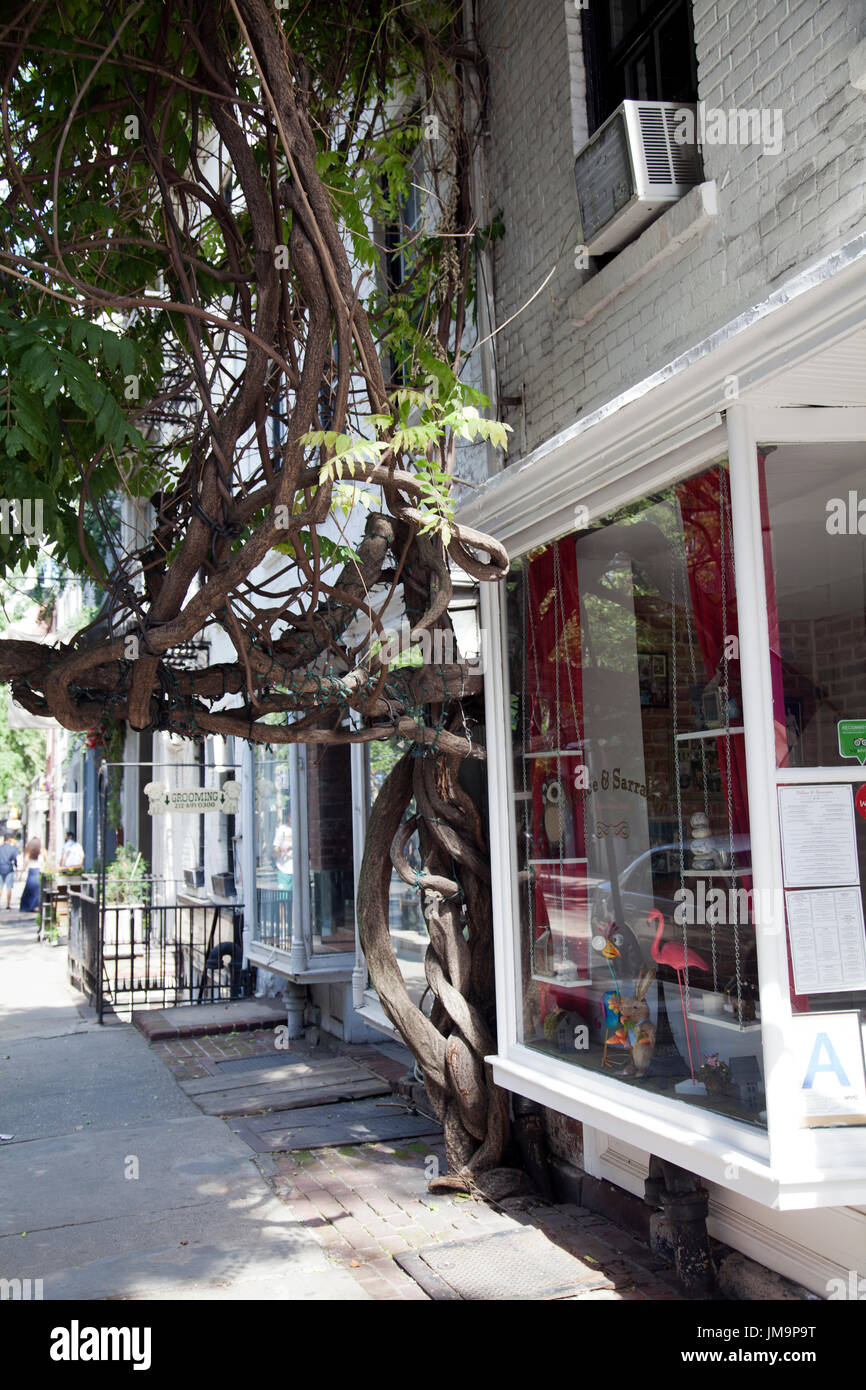 Christopher vine hi-res stock photography and images - Alamy