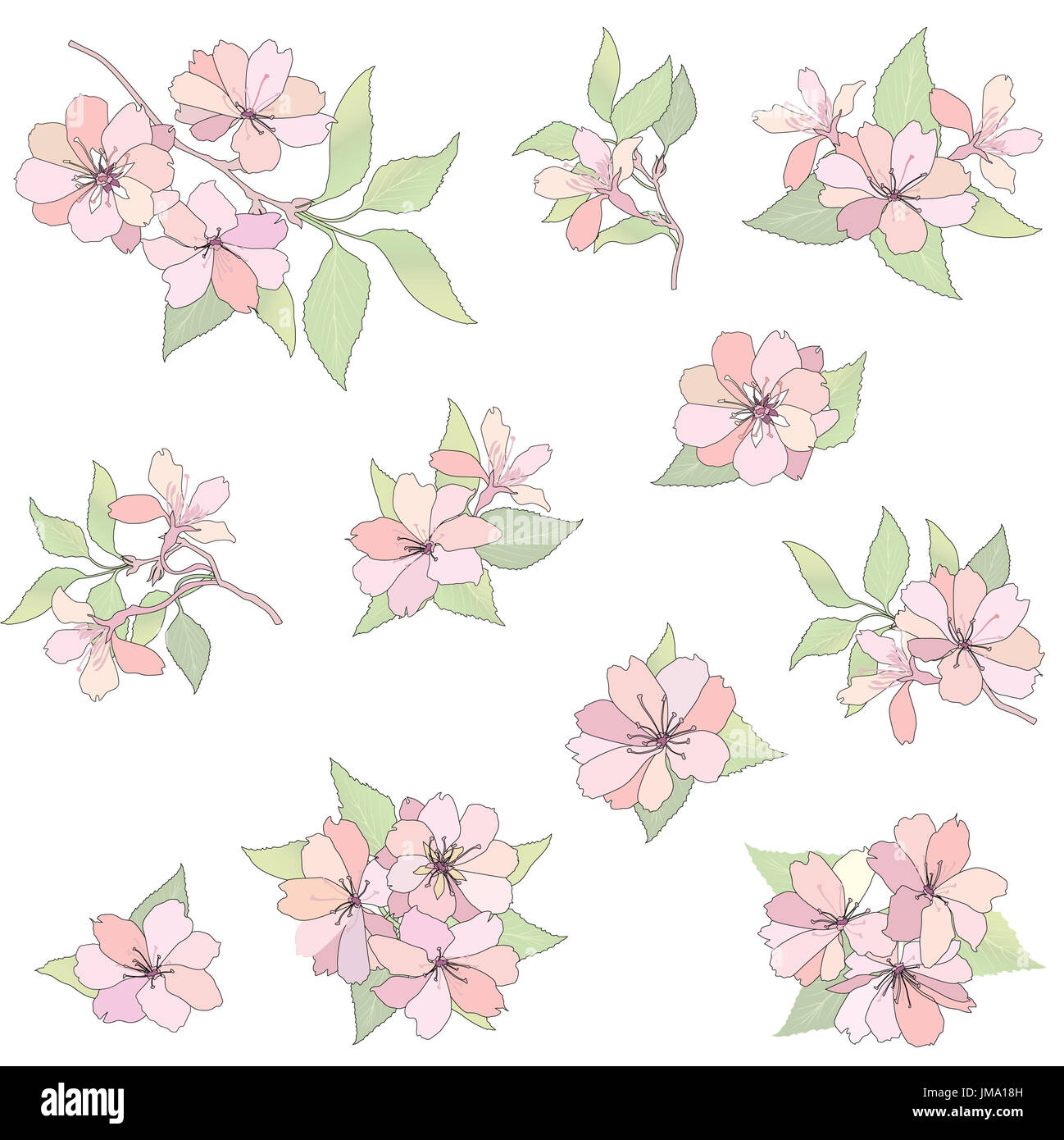 Floral bouquet set. Flower background. Flourish garden design elements ...