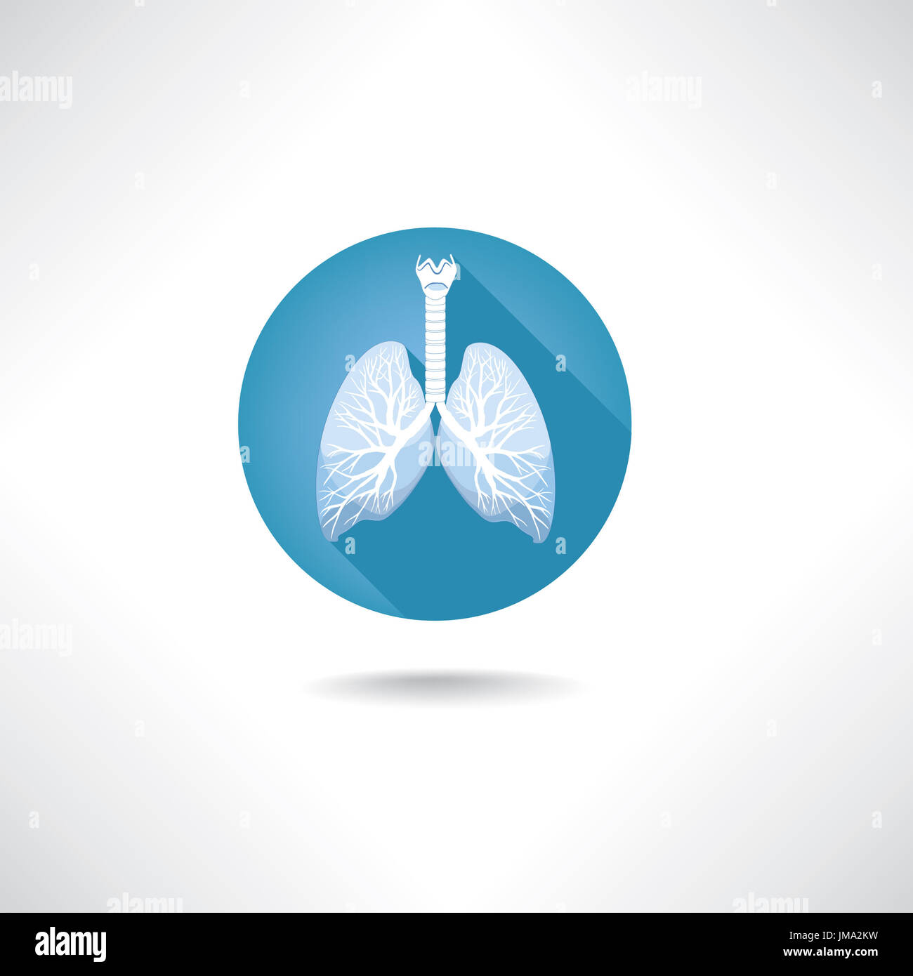 Lungs and bronchi icon. Human anatomy web buttons set Stock Photo - Alamy
