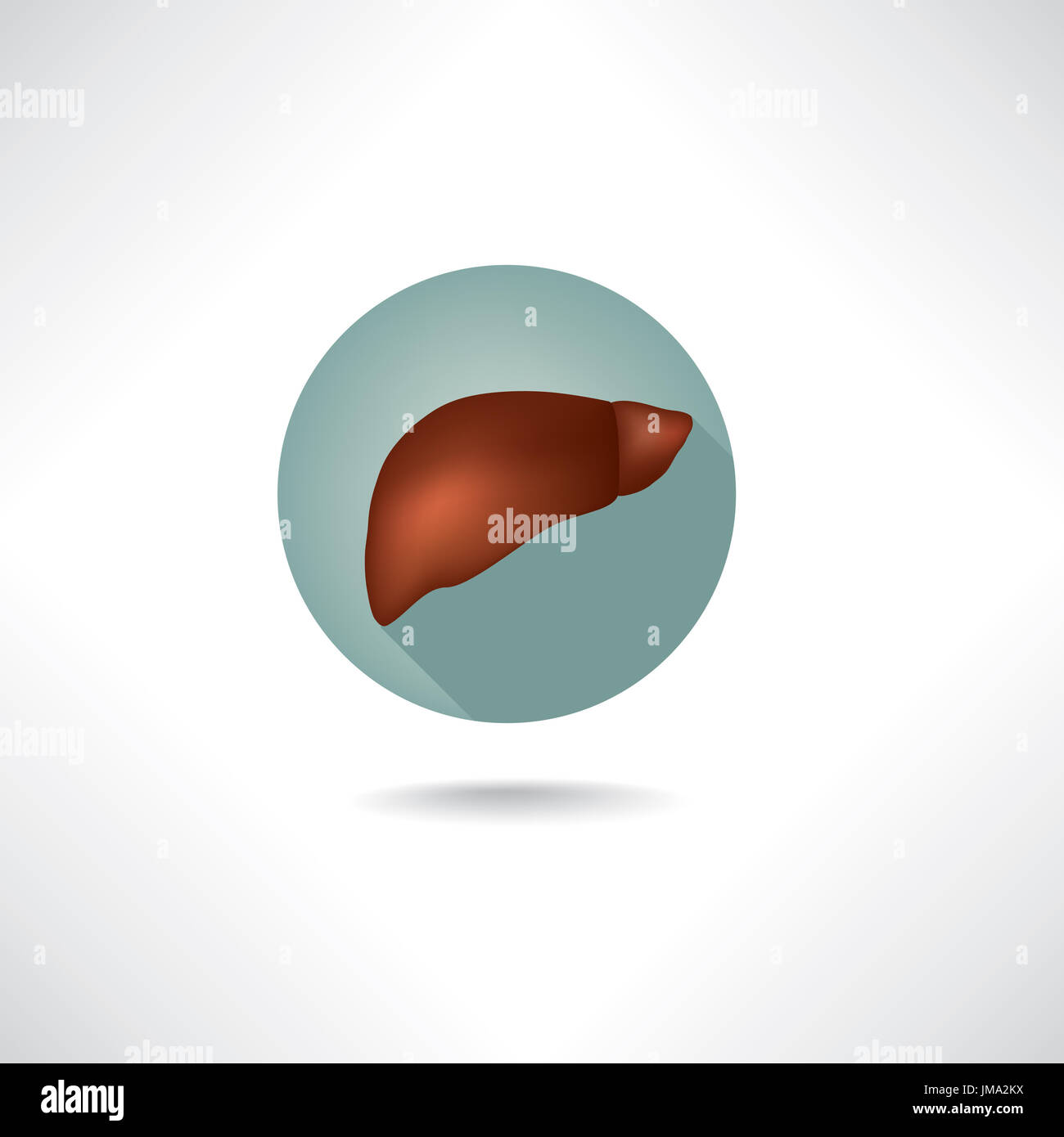 Liver icon. Human anatomy web buttons set Stock Photo - Alamy