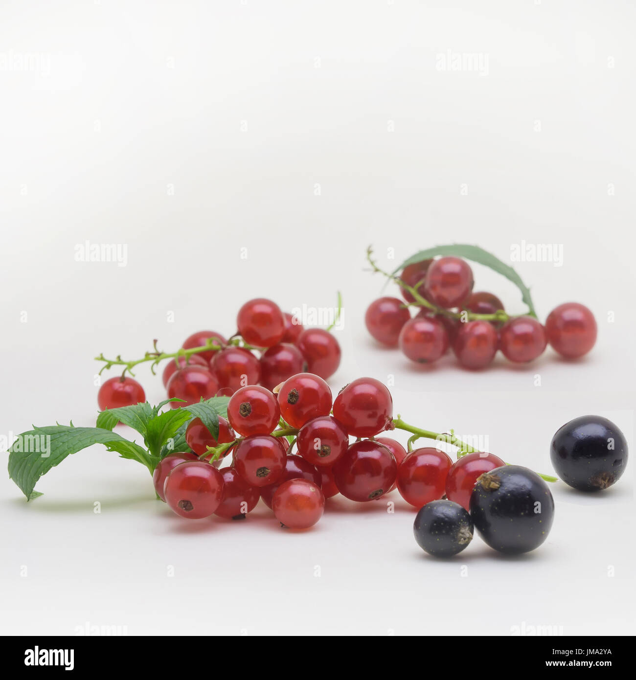 Black and Red Currants isolated on white background Stock Photo - Alamy