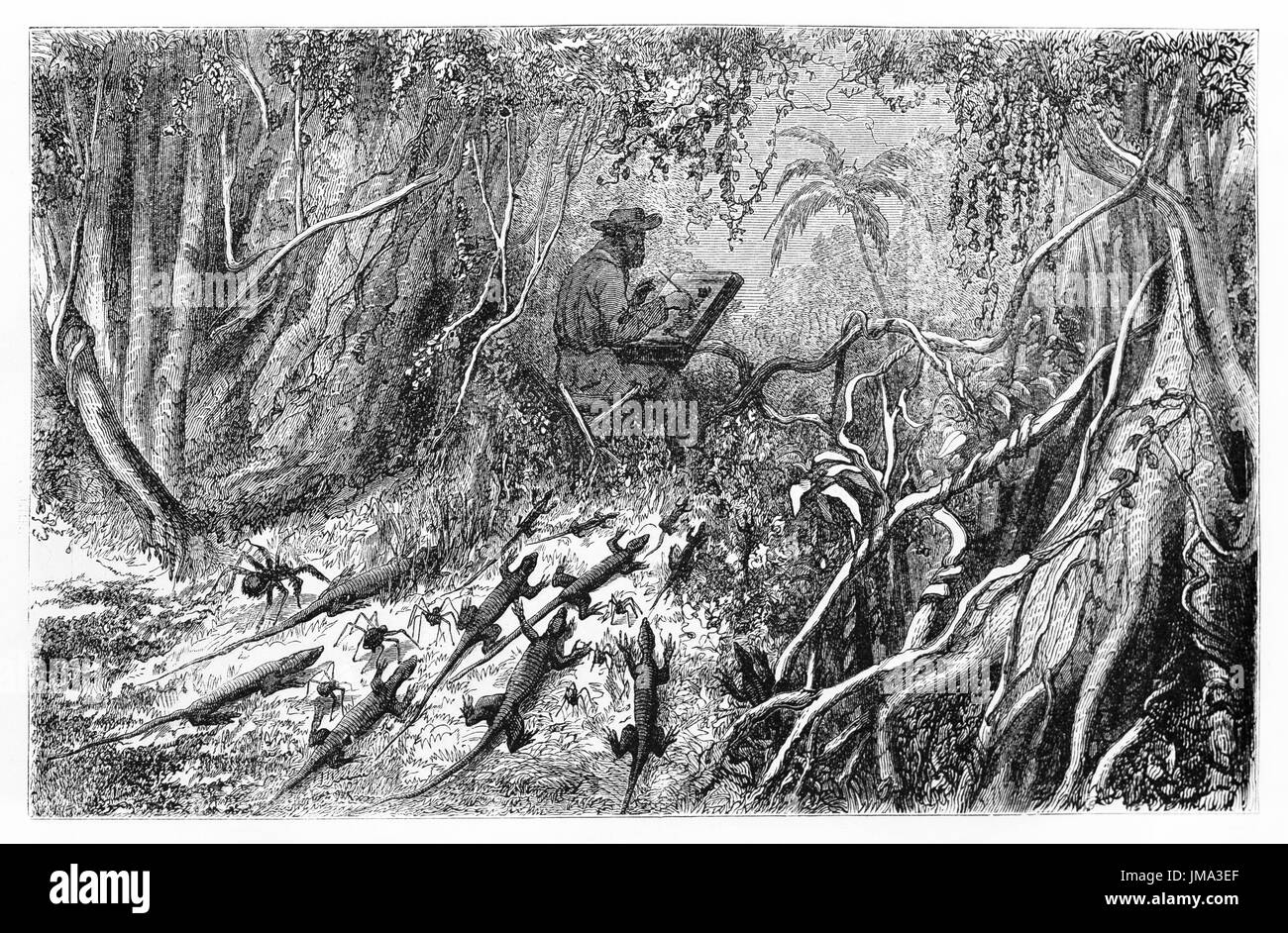 Brazilian migration Black and White Stock Photos & Images - Alamy