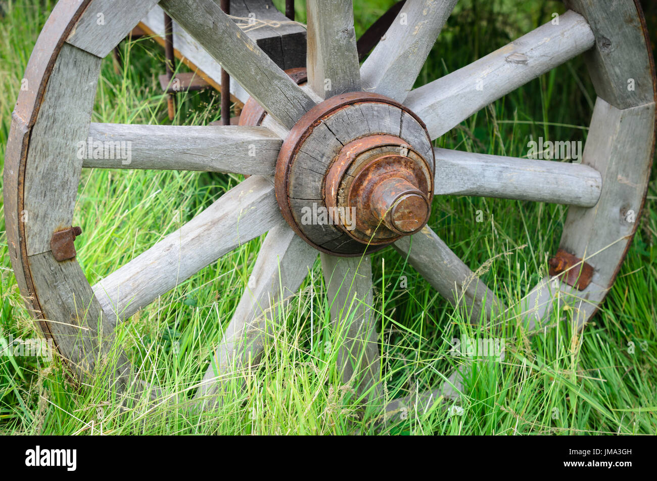 Cartwheel grass hi-res stock photography and images - Alamy