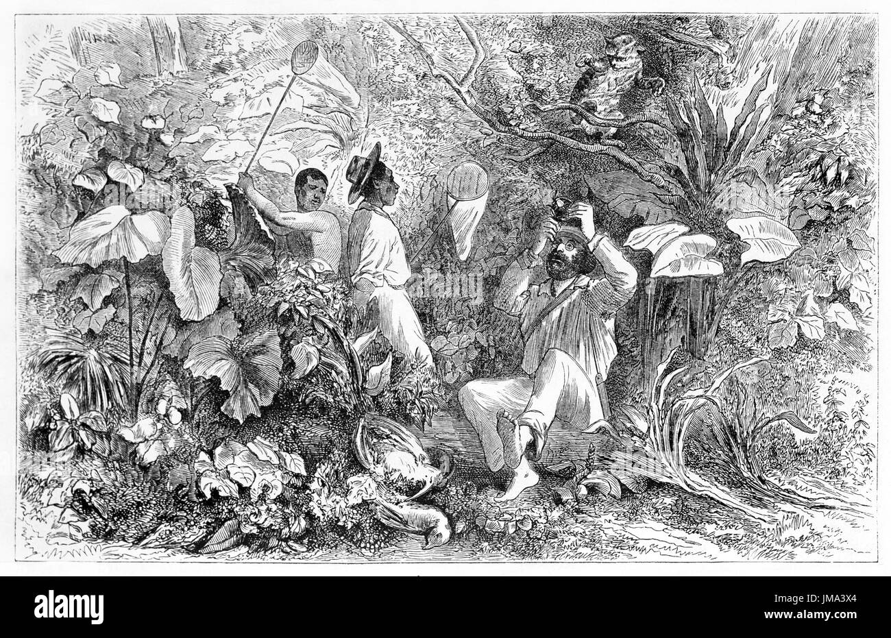 Amazon Jungle Explorer High Resolution Stock Photography and Images - Alamy