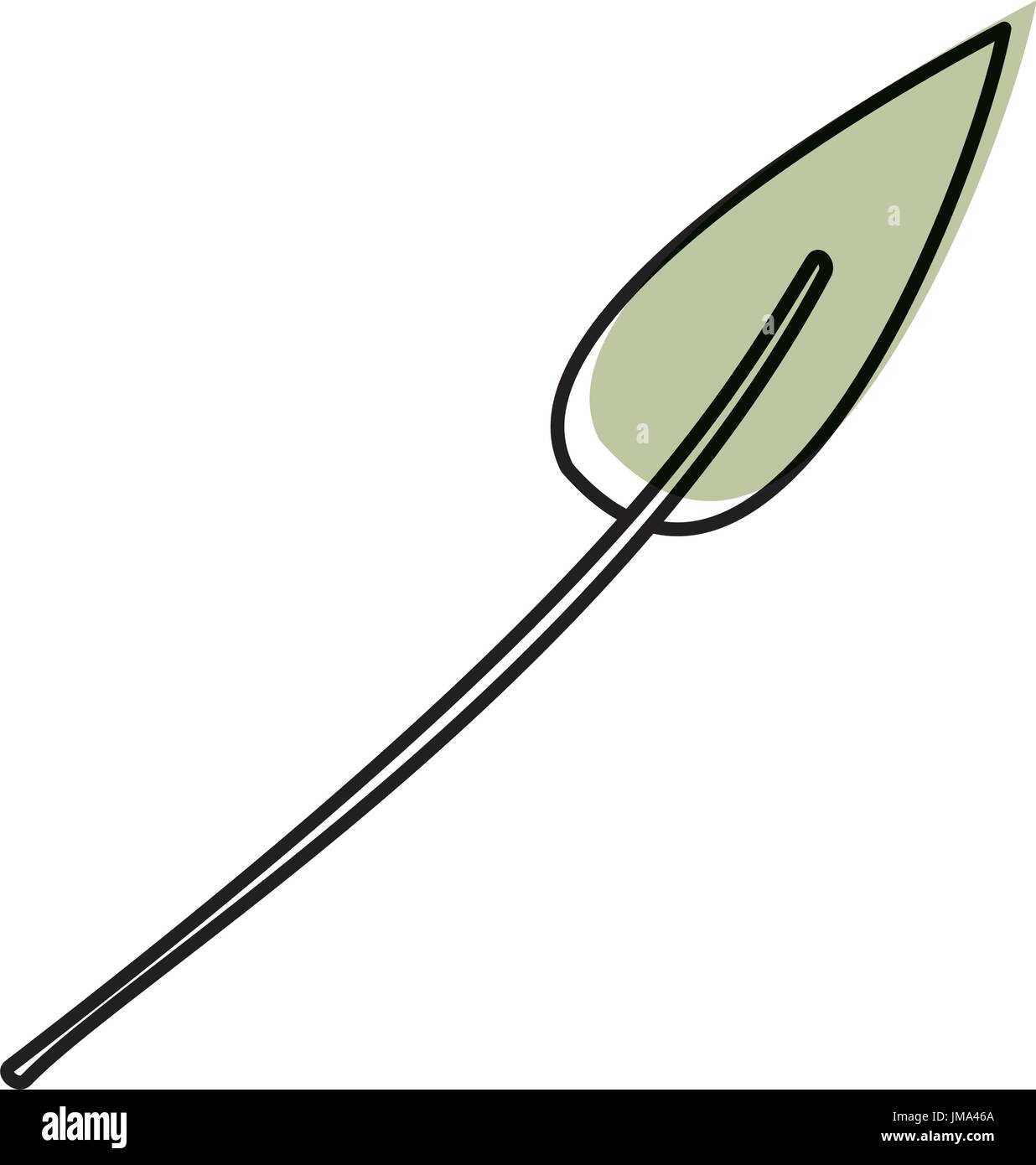 watercolor silhouette of small lanceolate leaf plant Stock Vector Image ...