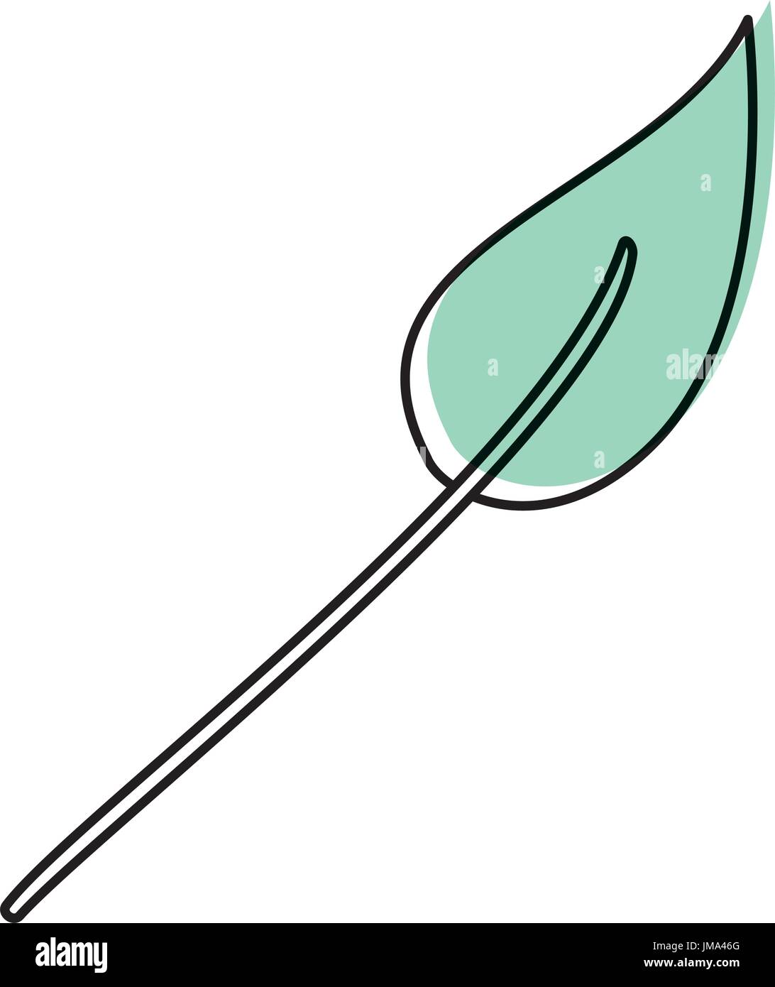 Lanceolate leaf Stock Vector Images - Alamy