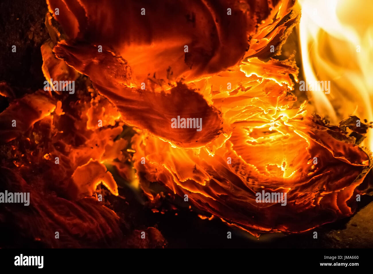 Closeup image of fire and burning newspapers Stock Photo - Alamy
