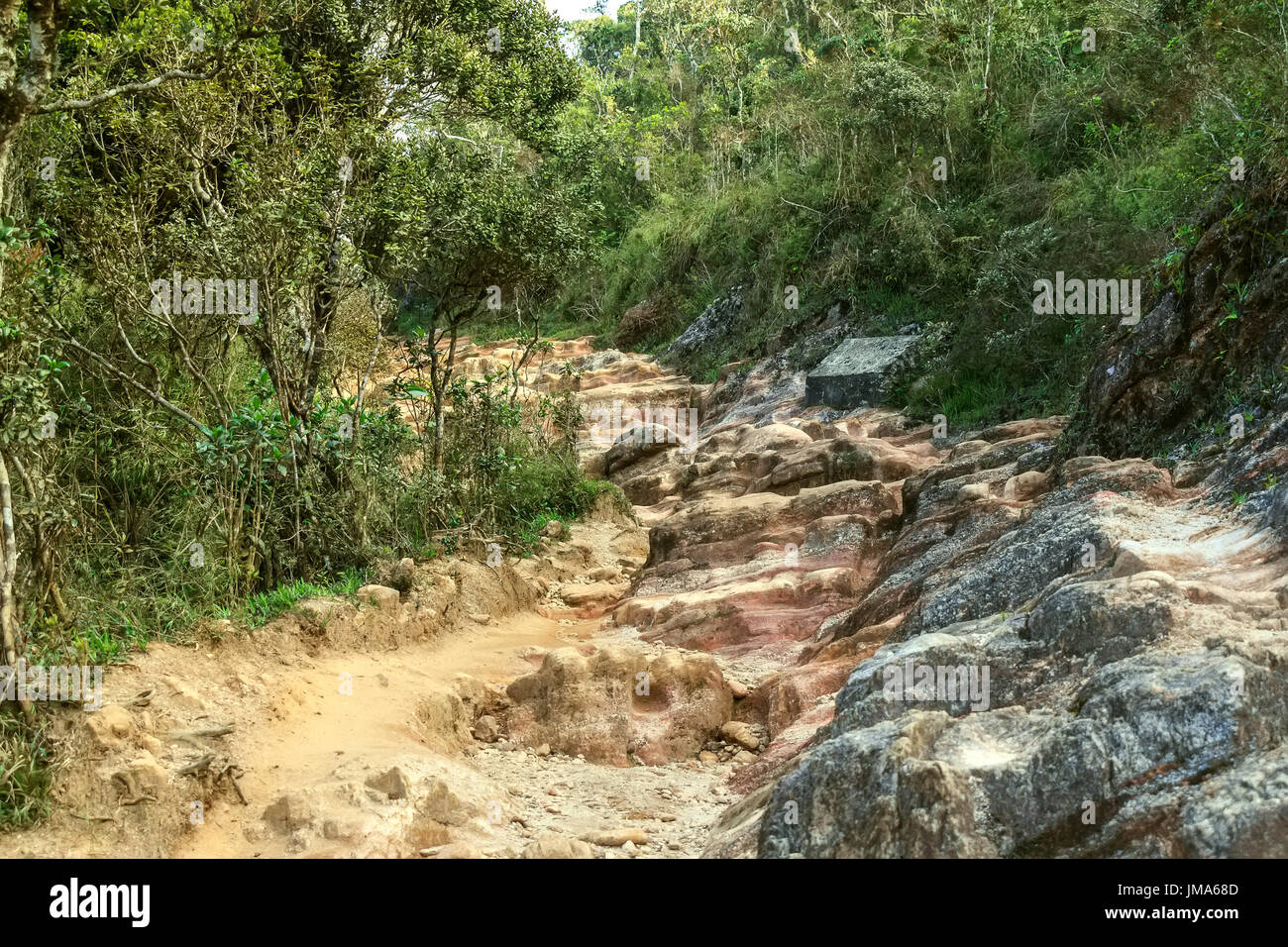 Montane savanna hi-res stock photography and images - Alamy