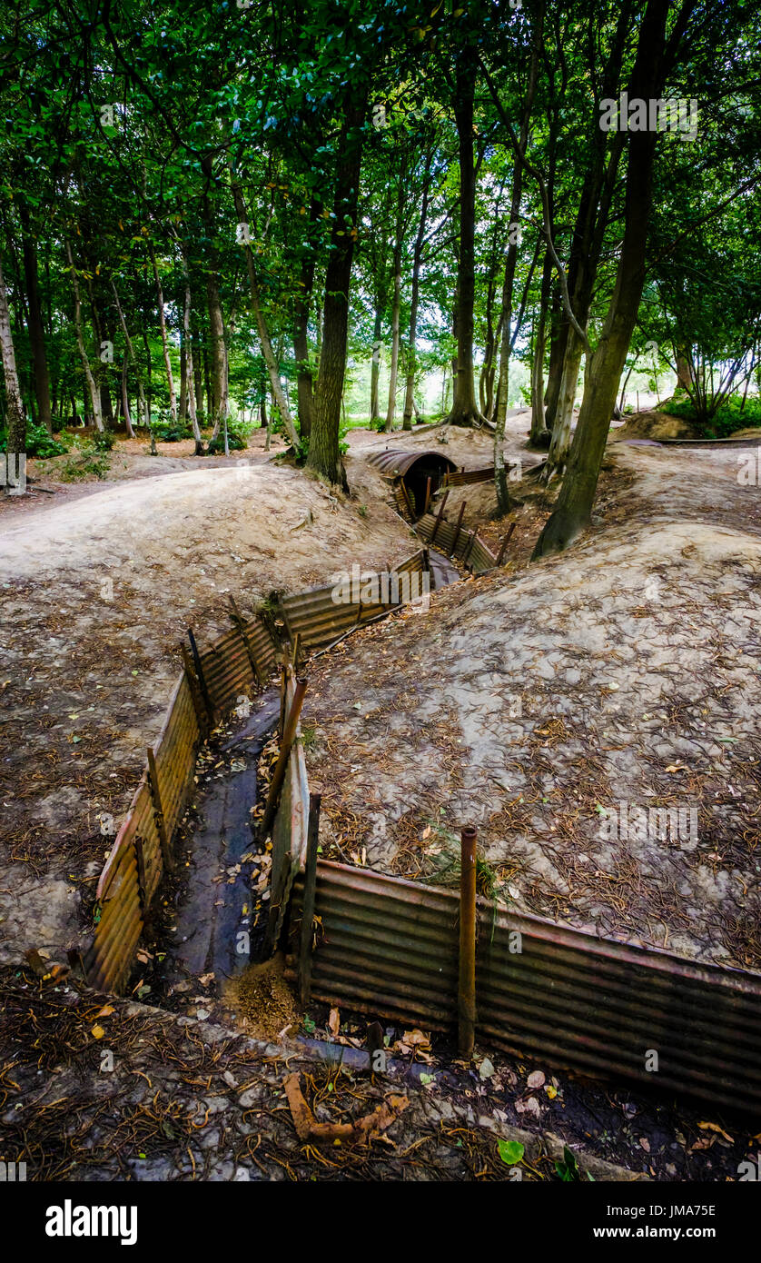 First World War trenches at Sanctuary Wood near Ypres, Belgium Stock ...
