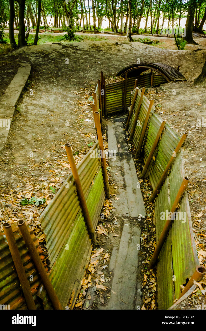 First World War trenches at Sanctuary Wood near Ypres, Belgium Stock ...