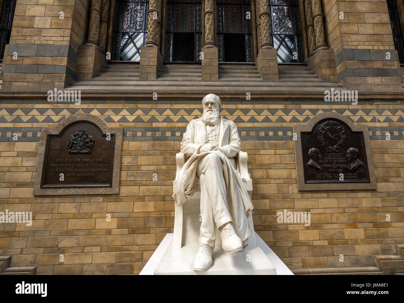 Darwin museum art gallery hi-res stock photography and images - Alamy