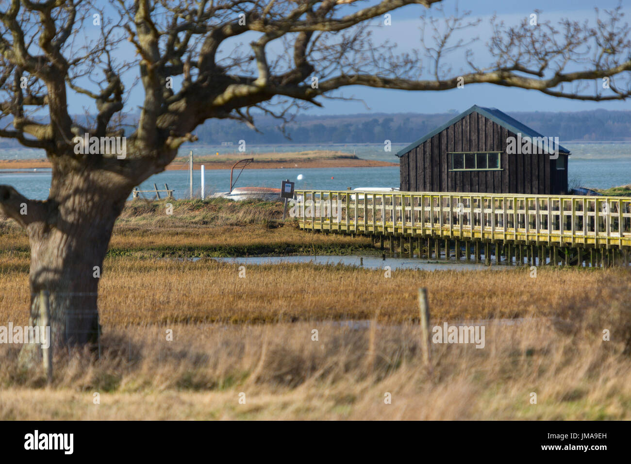 Newtown Nature Reserve, Isle of Wight, UK Stock Photo - Alamy