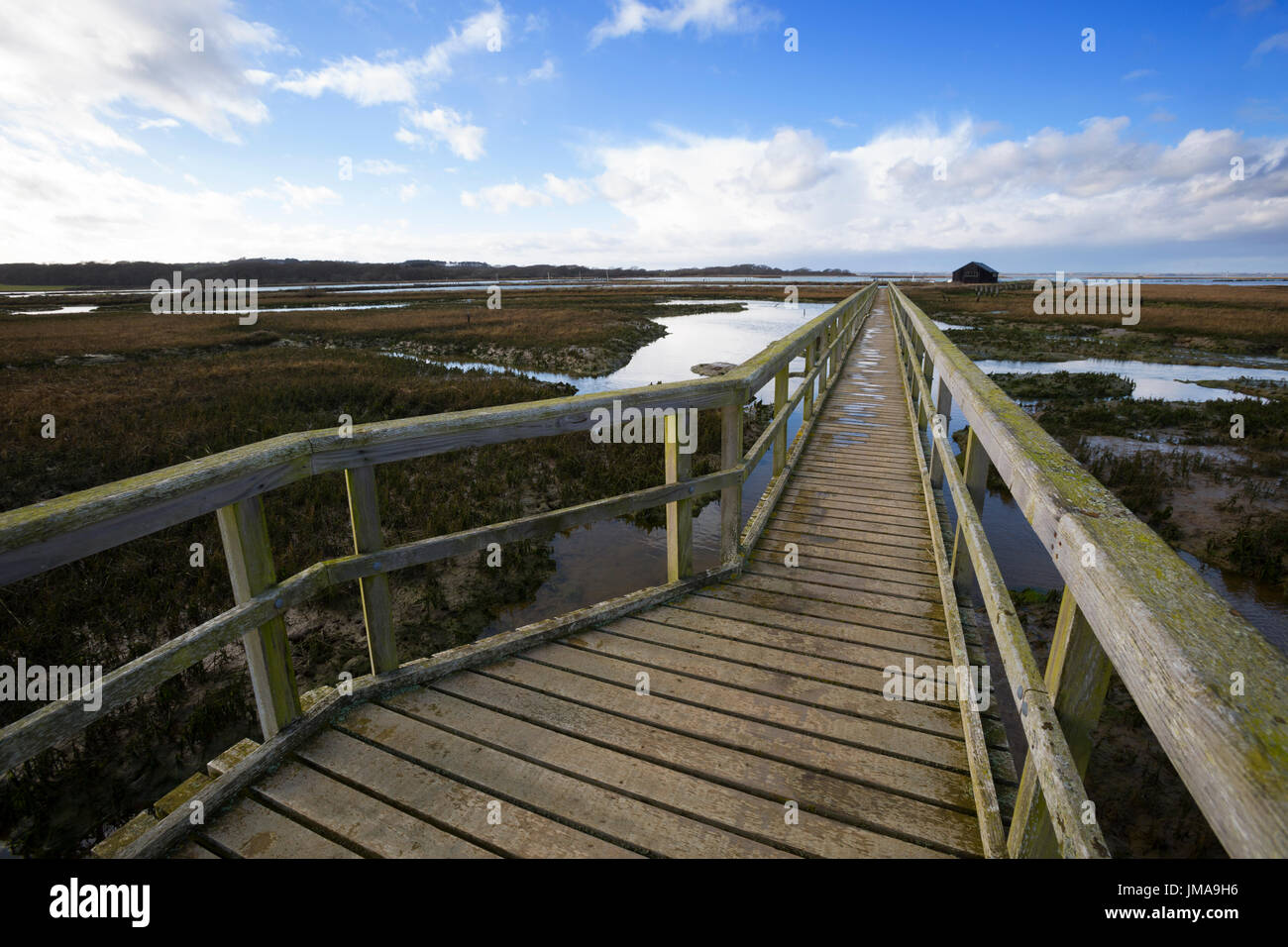 Newtown Nature Reserve, Isle of Wight, UK Stock Photo - Alamy