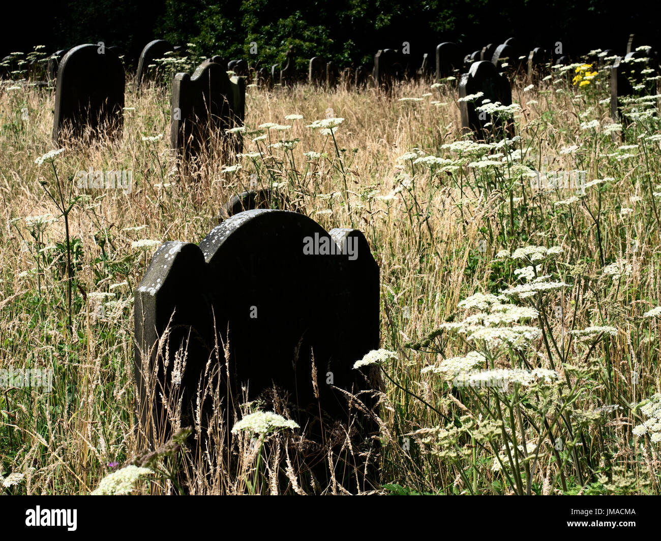 Gravestones headstones yorkshire hi-res stock photography and images ...
