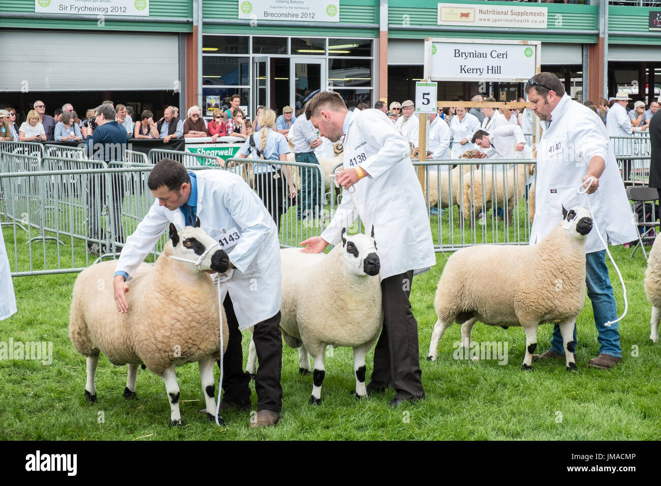 Royal Welsh Agricultural Show,held,annually,at, Royal Welsh Showground ...