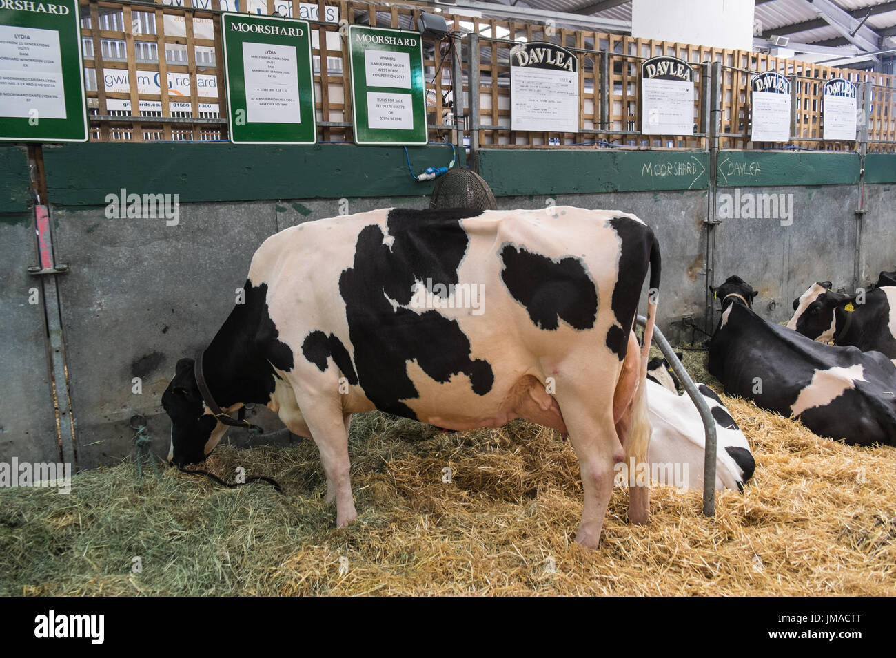 Royal Welsh Agricultural Show,held,annually,at, Royal Welsh Showground ...
