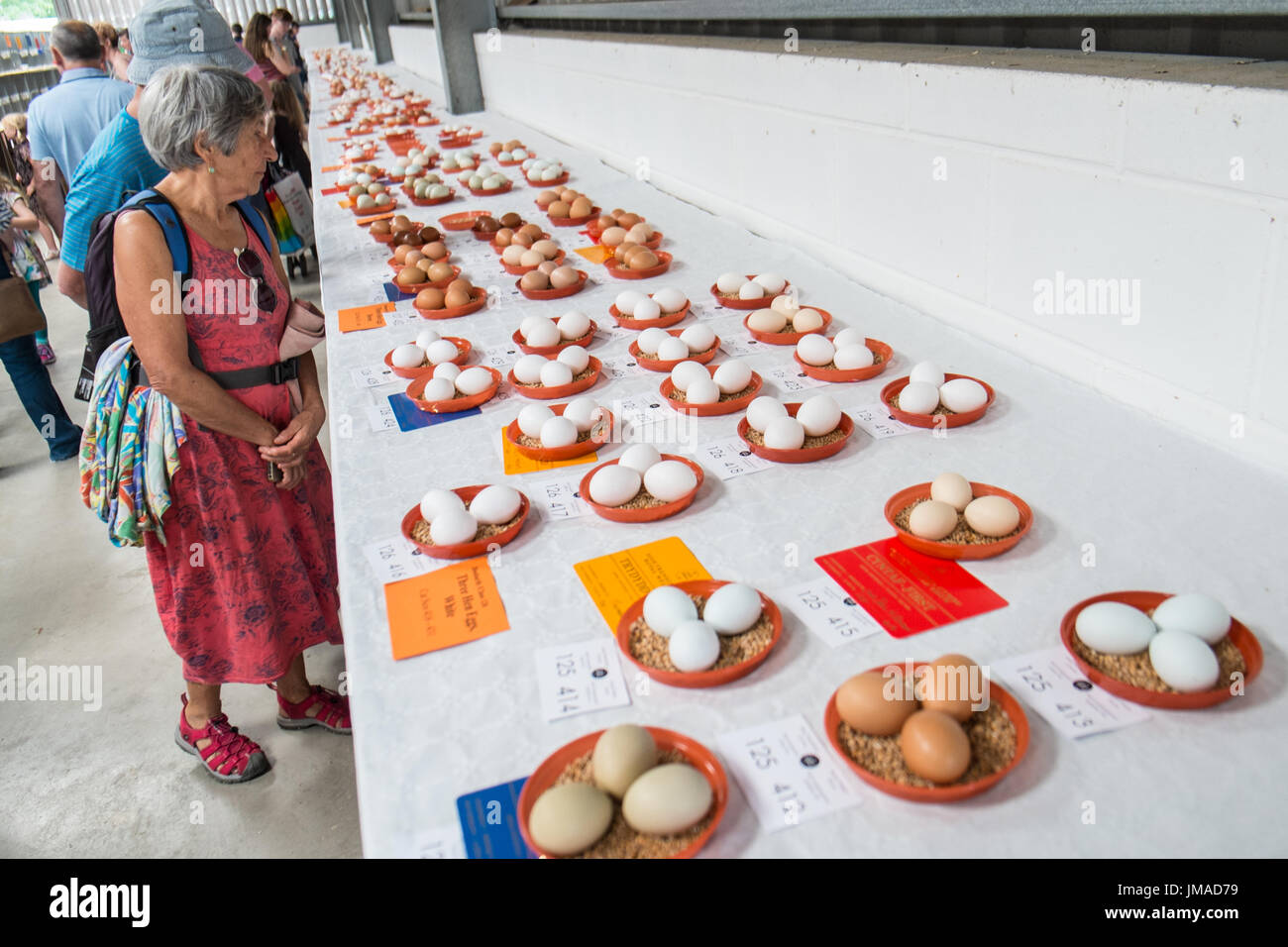 Royal Welsh Agricultural Show,held,annually,at, Royal Welsh Showground ...