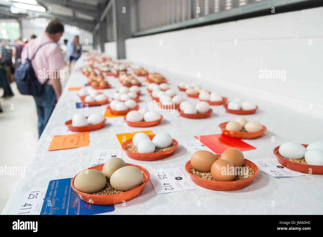 Royal Welsh Agricultural Show,held,annually,at, Royal Welsh Showground ...