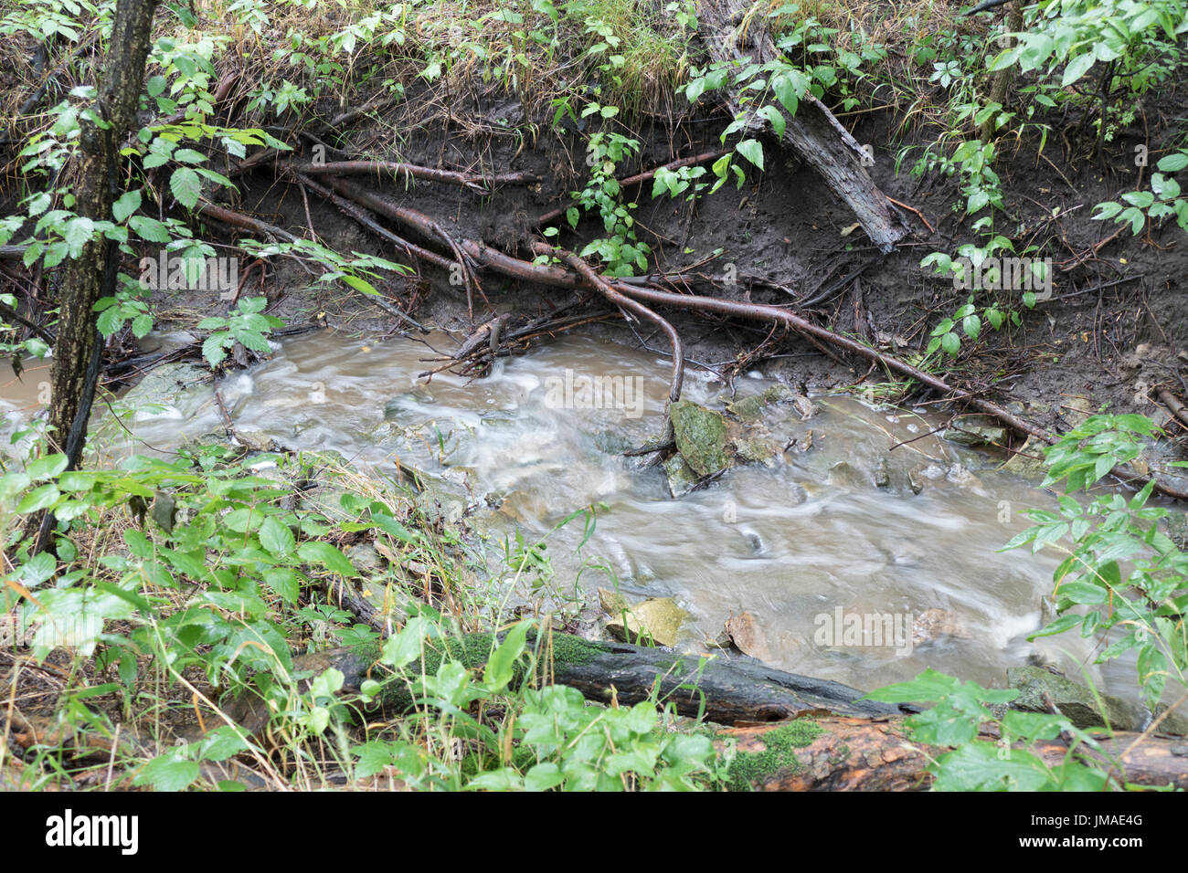 Rain Filled Rushing Stream Stock Photo - Alamy