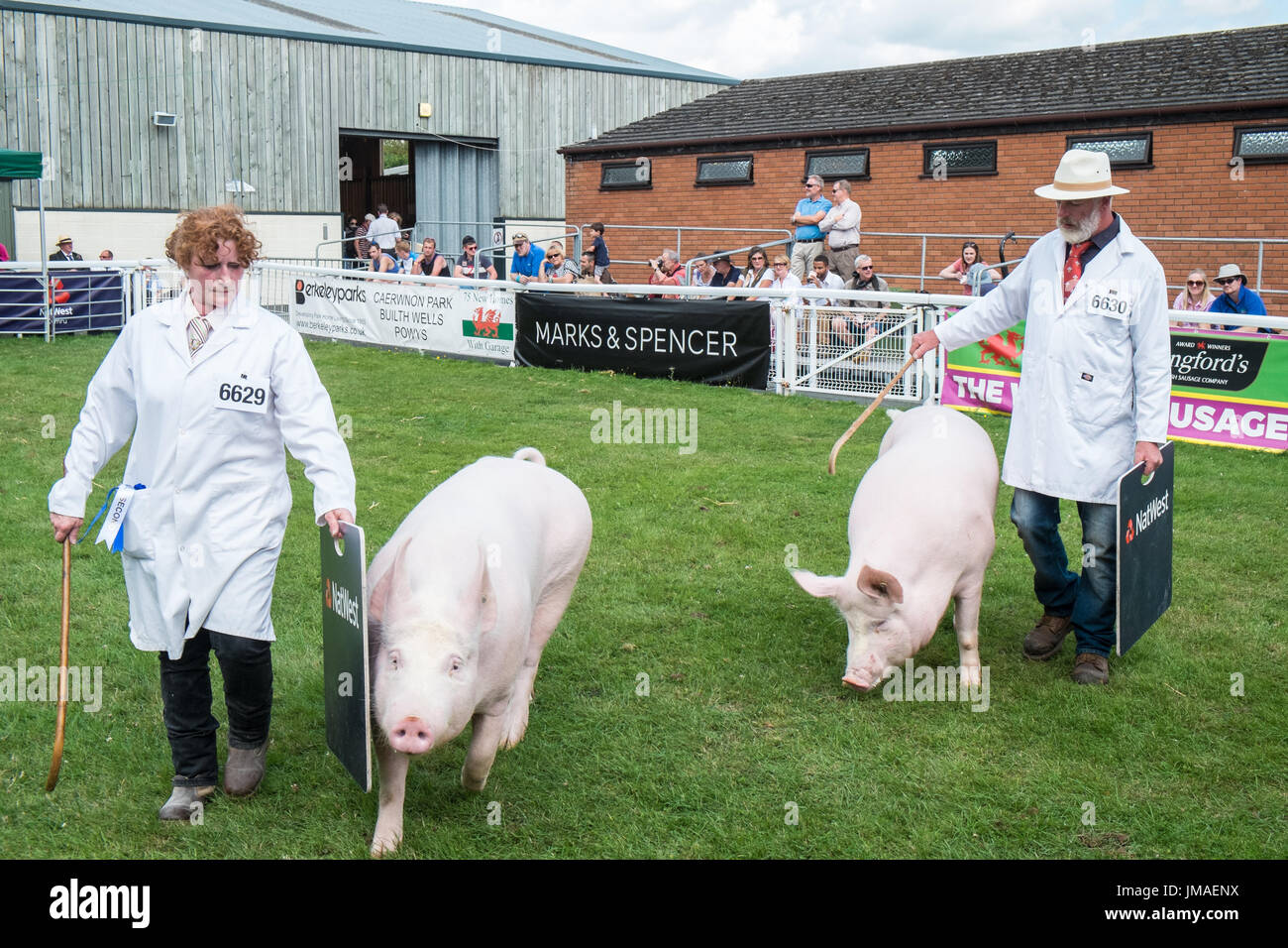 Royal Welsh Agricultural Show,held,annually,at, Royal Welsh Showground ...