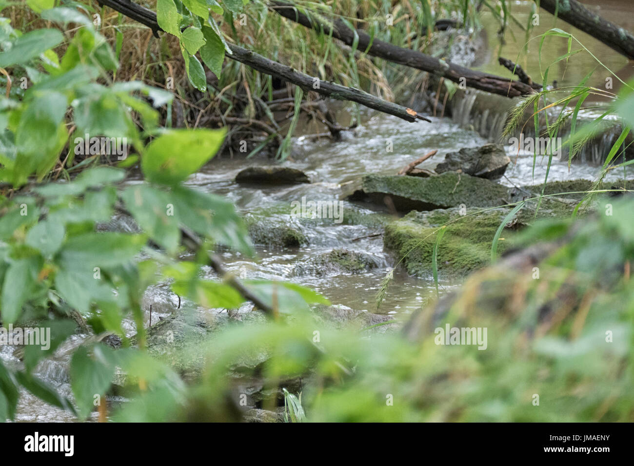 Rain Filled Rushing Stream Stock Photo - Alamy