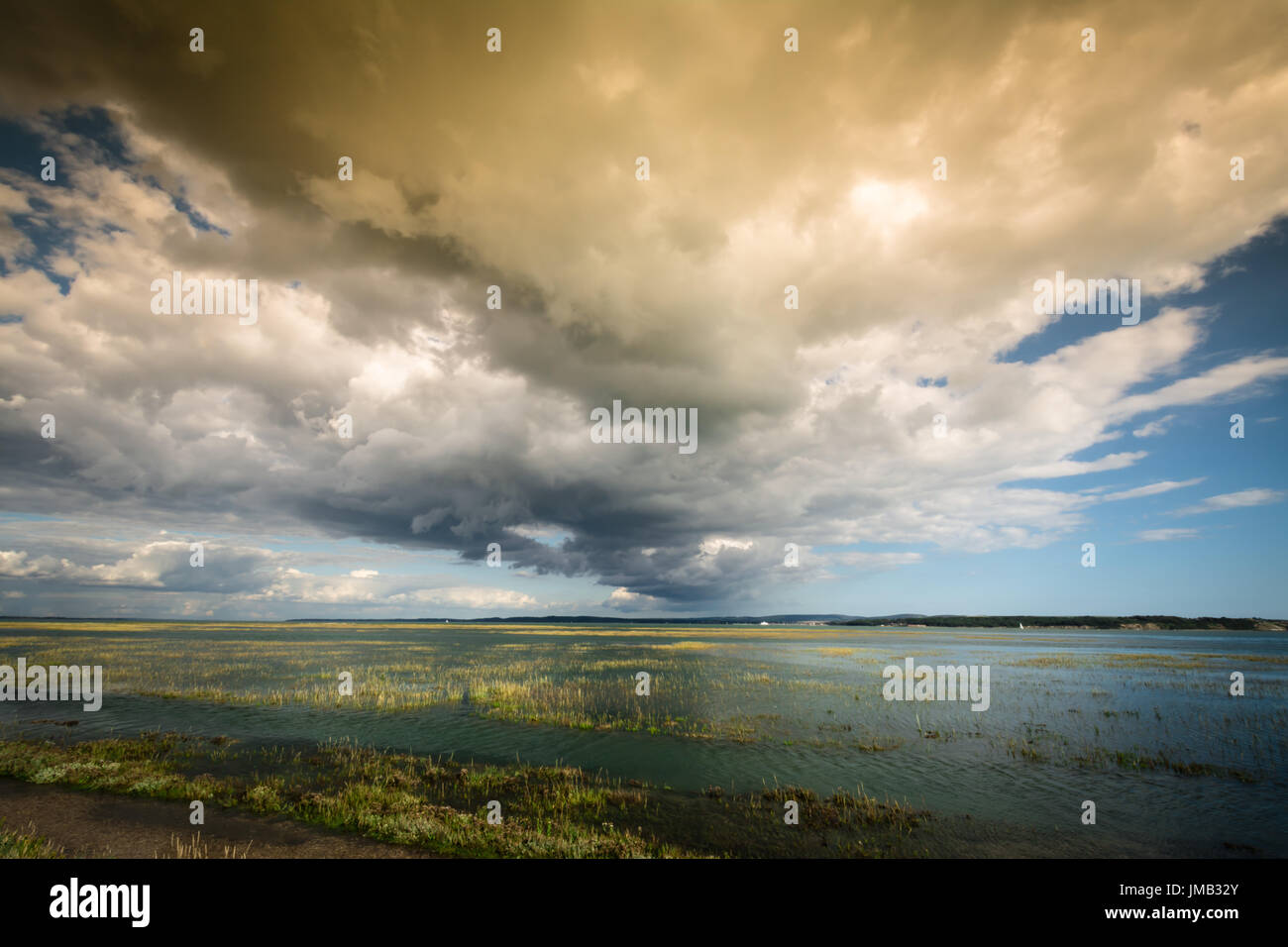 View over Keyhaven coastal marshes, an important overwintering site for ...