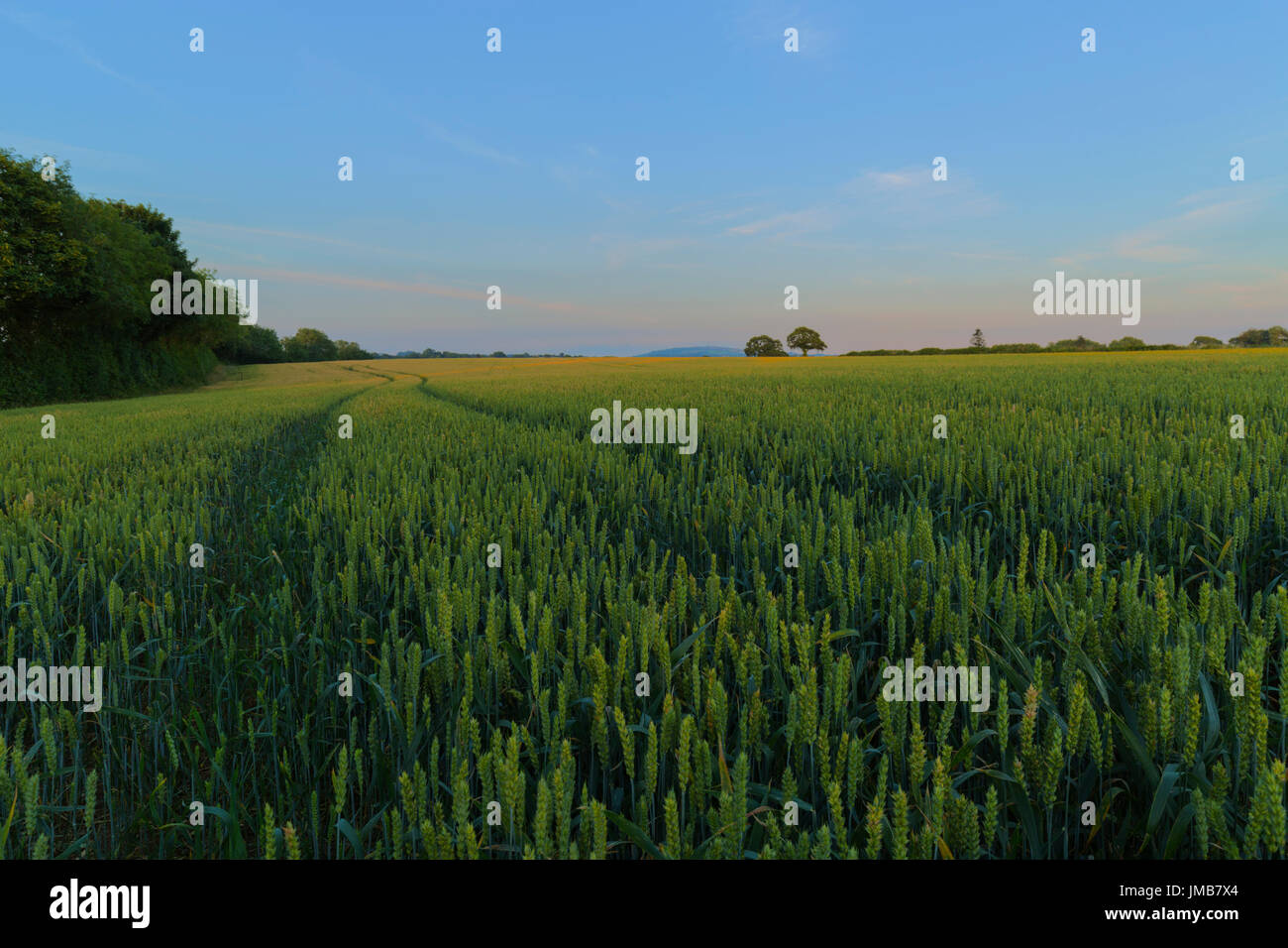 British summer farm fields hi-res stock photography and images - Alamy