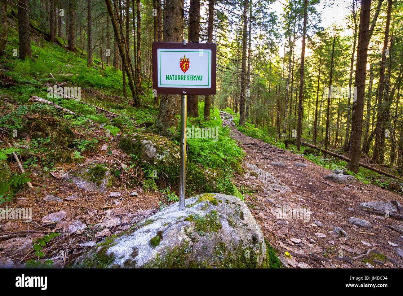 Nature reserve sign in the forest in Tovdal. Norwegian landscape Stock ...