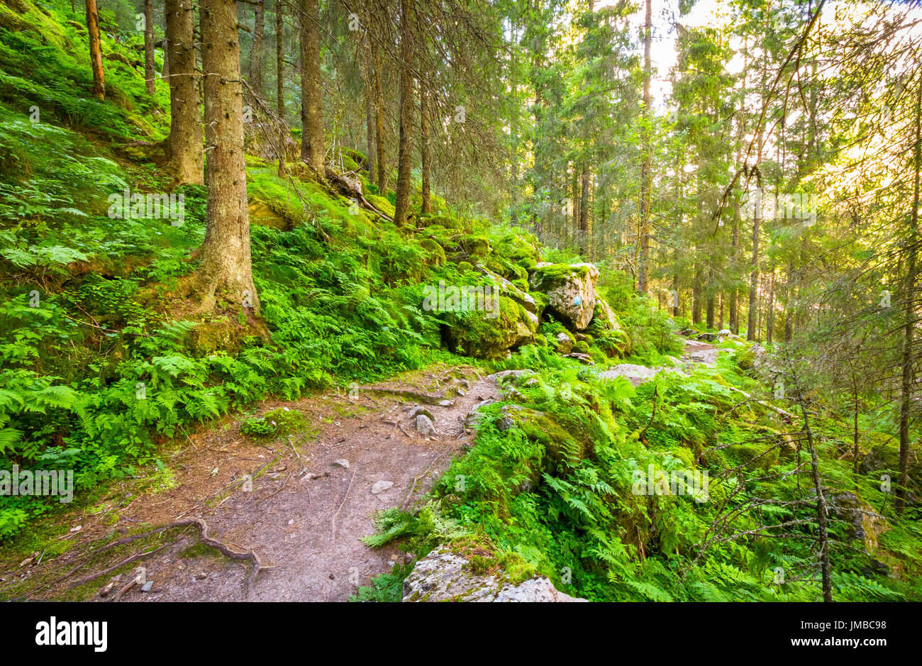 Norwegiannature hi-res stock photography and images - Alamy