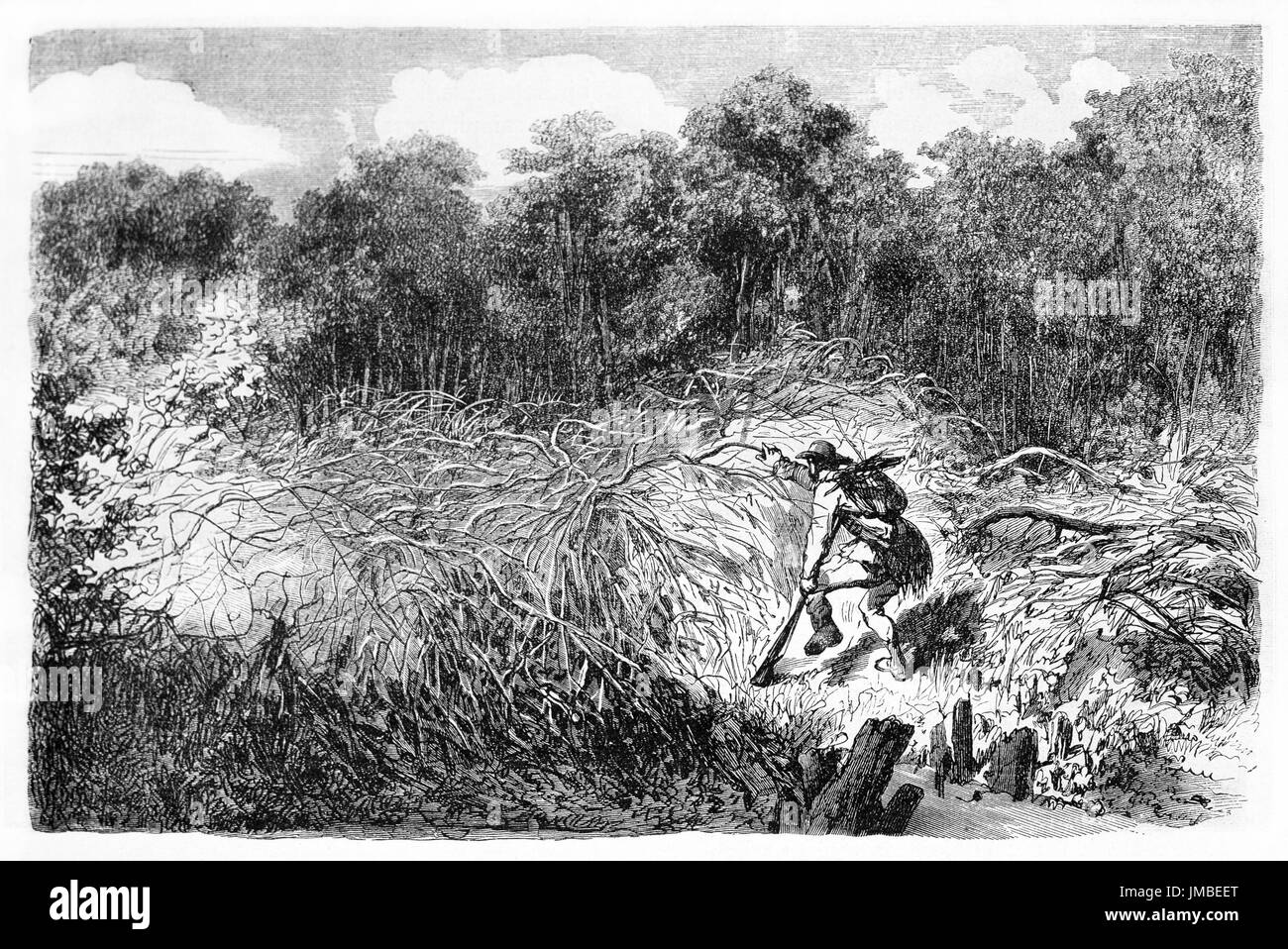 french explorer M. Biard lurking with guns behind branches hedge in Rio ...