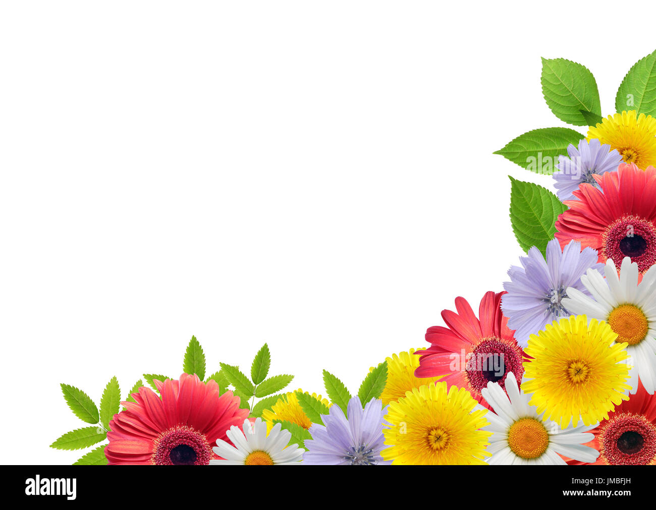 Nice border made from various color flowers and green leaves Stock ...