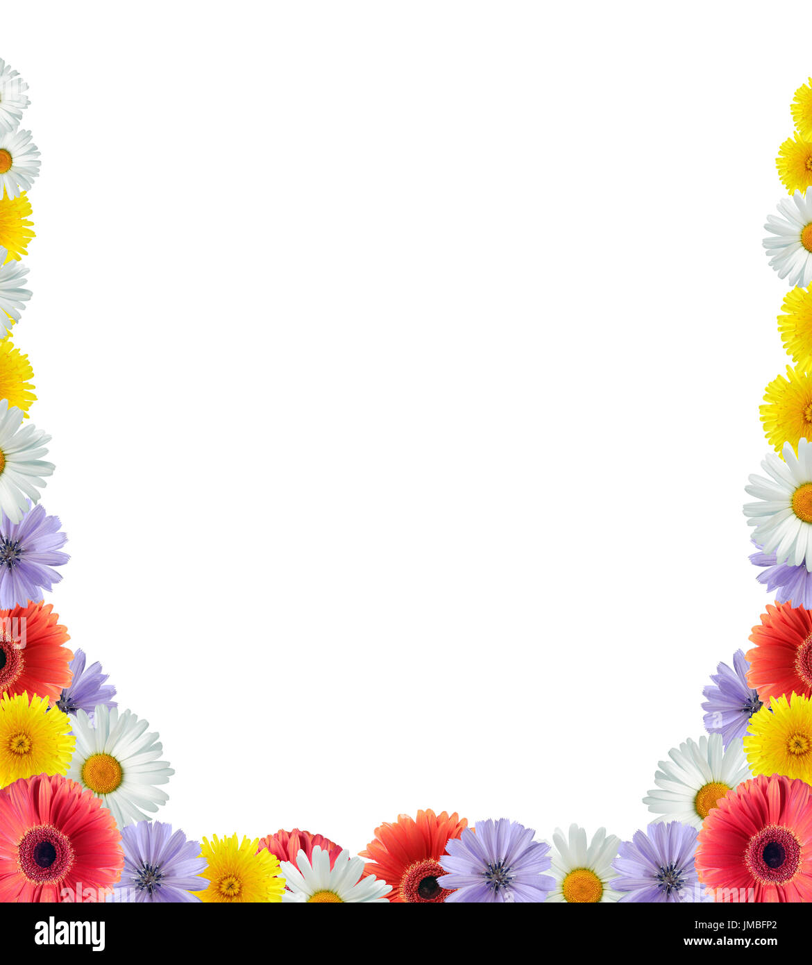 Beautiful border made from lot of color flower heads Stock Photo - Alamy