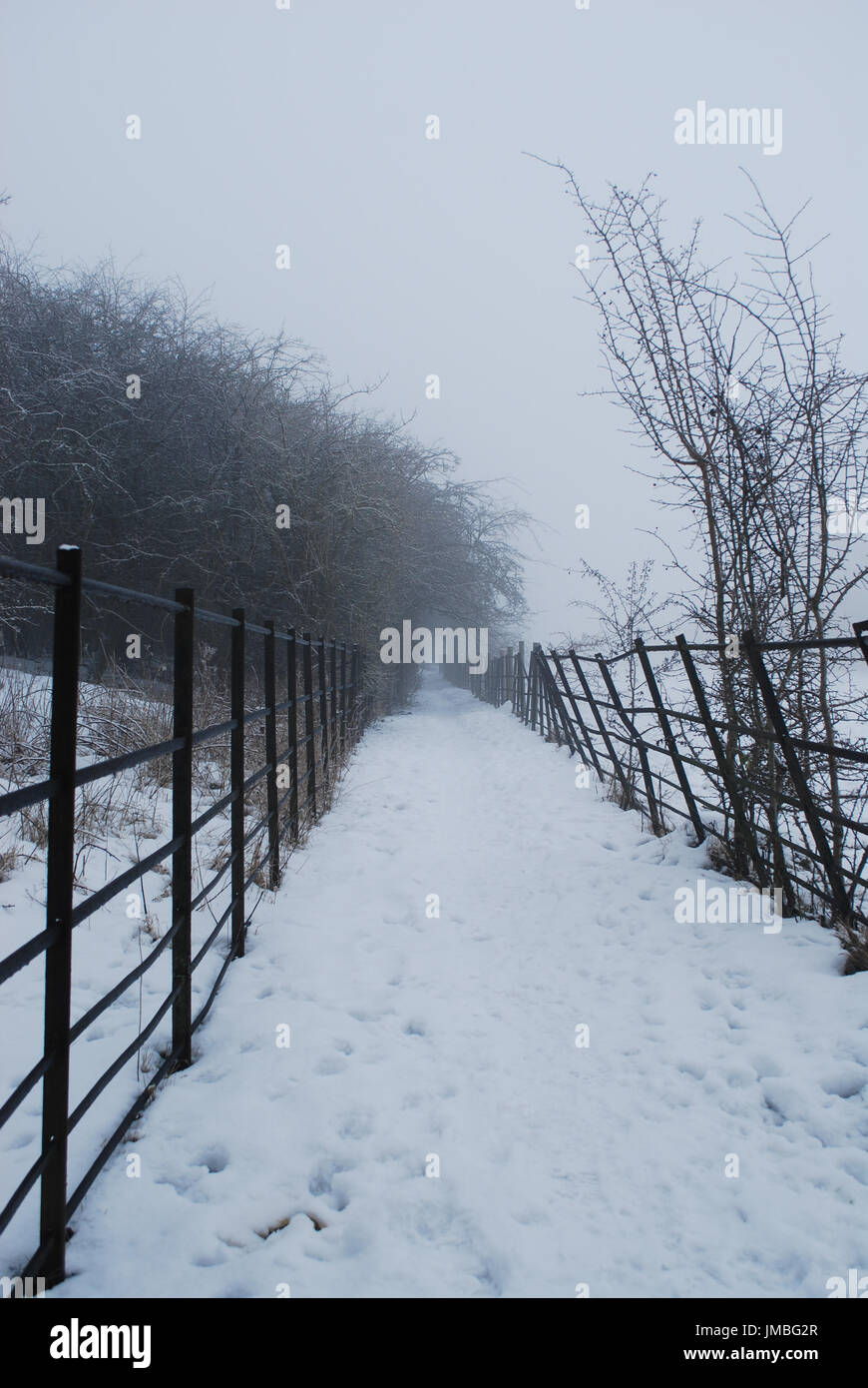 Snow covered path with metal fence by field Stock Photo - Alamy