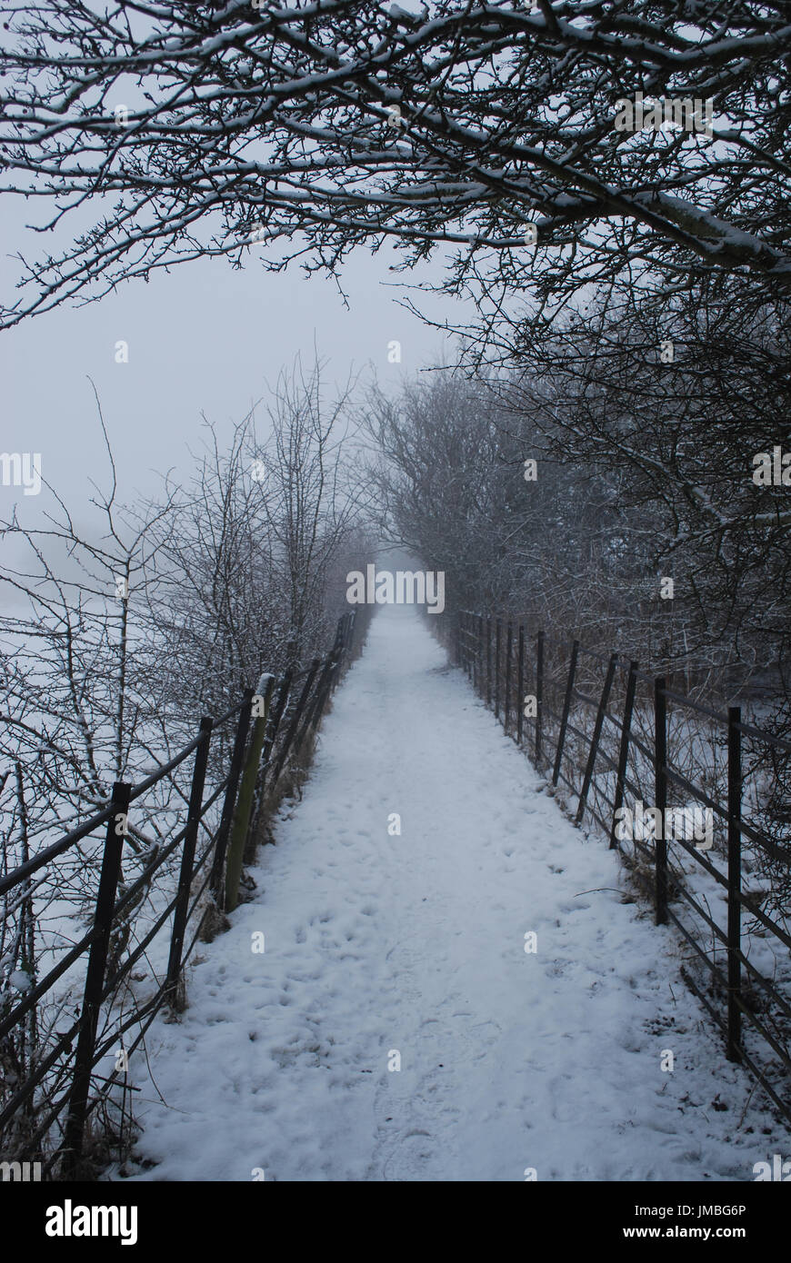 Snow covered path with metal fence by field Stock Photo - Alamy