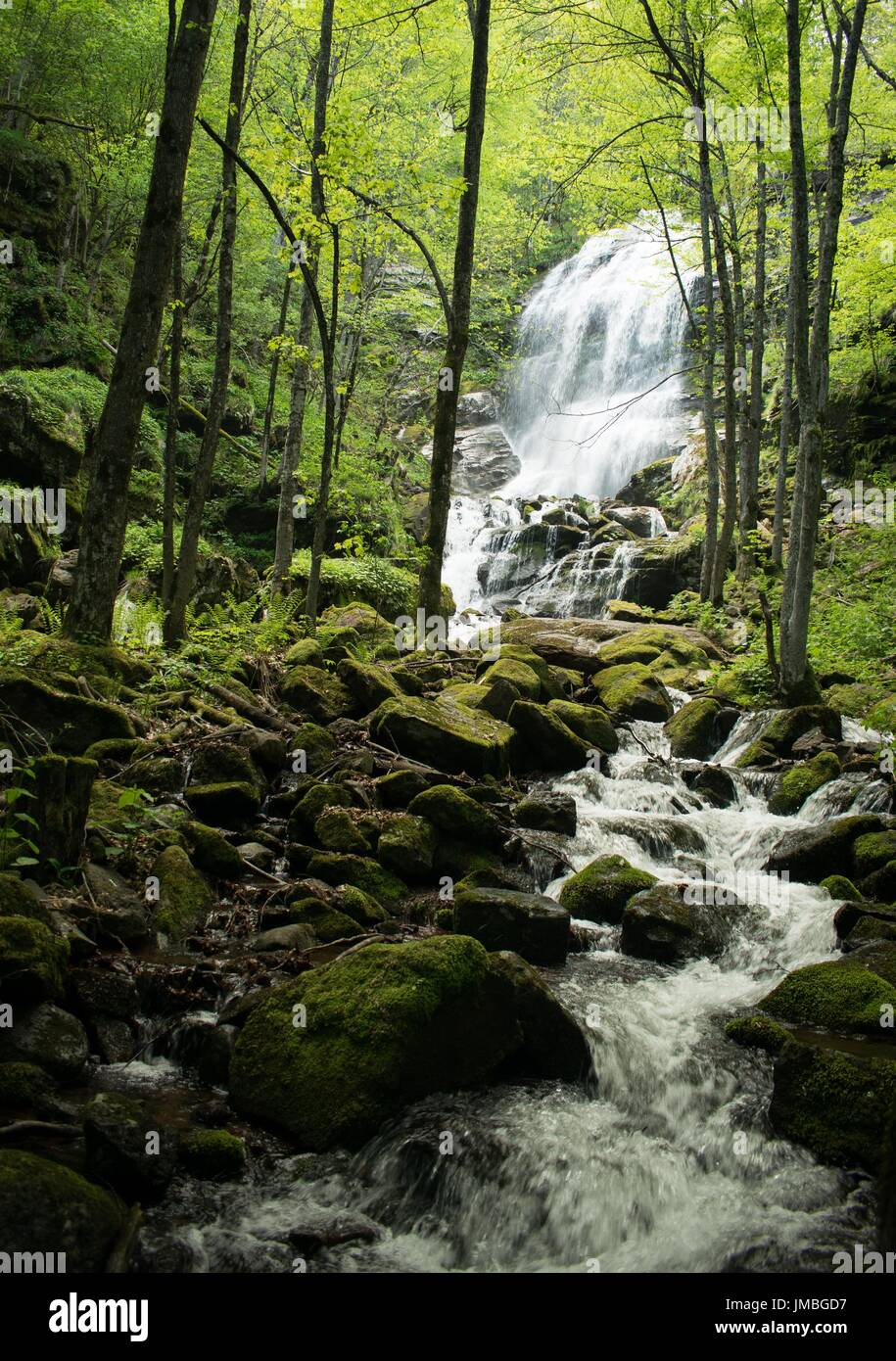 Enjoying waterfall hi-res stock photography and images - Alamy