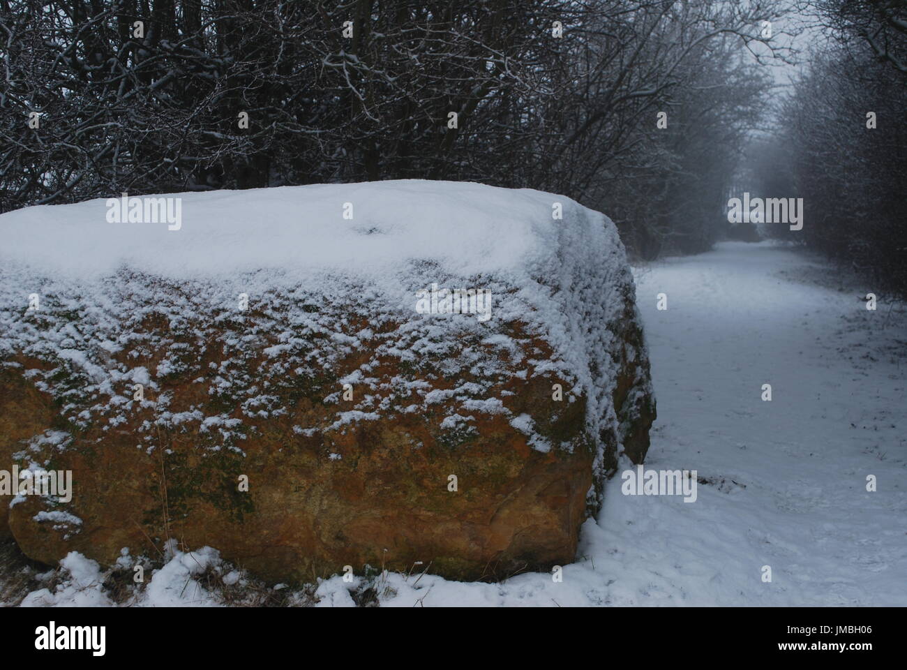 large snow covered stone boulder by trees and bushes Stock Photo - Alamy
