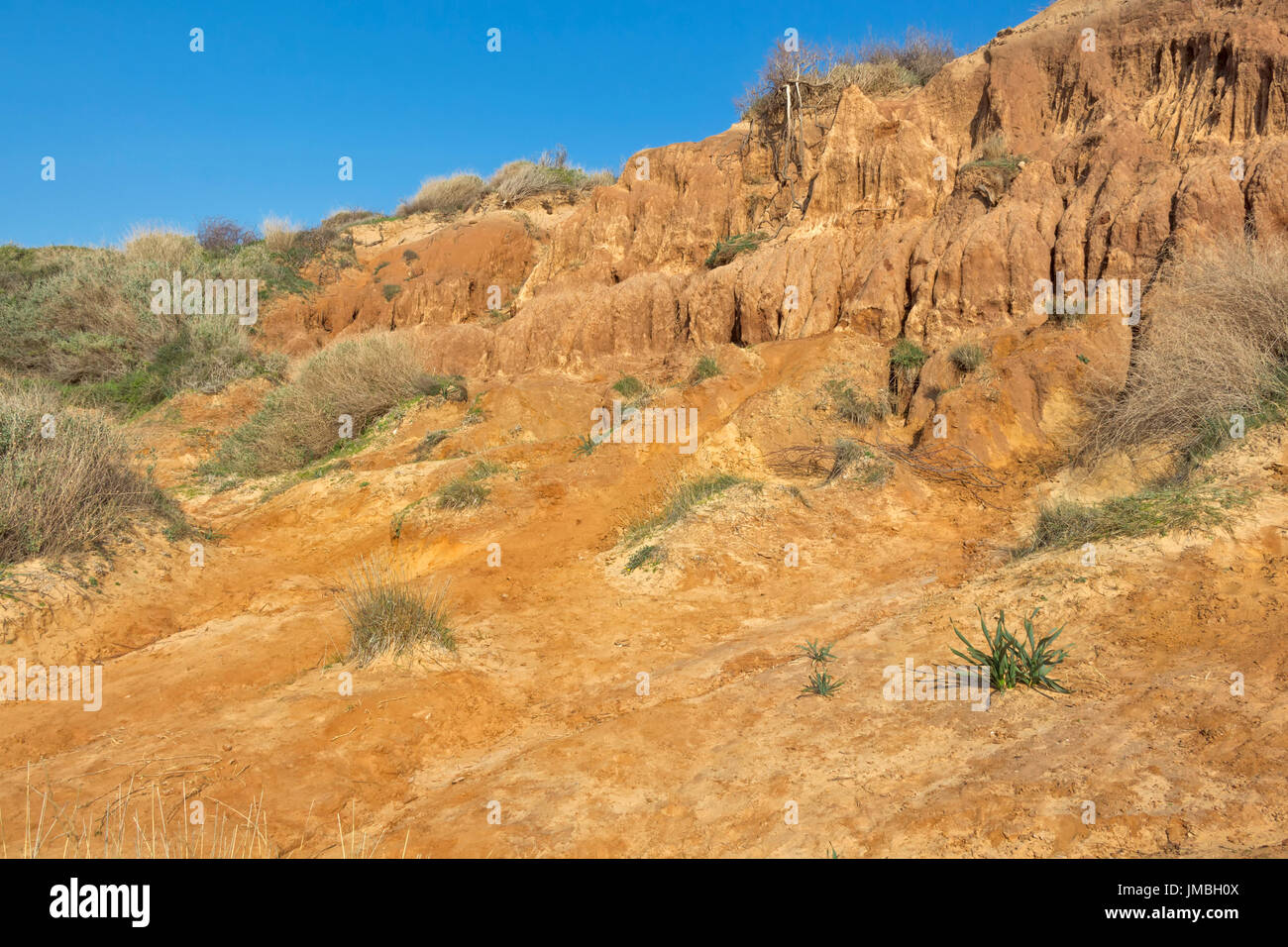 Arid desert in Israel Stock Photo - Alamy