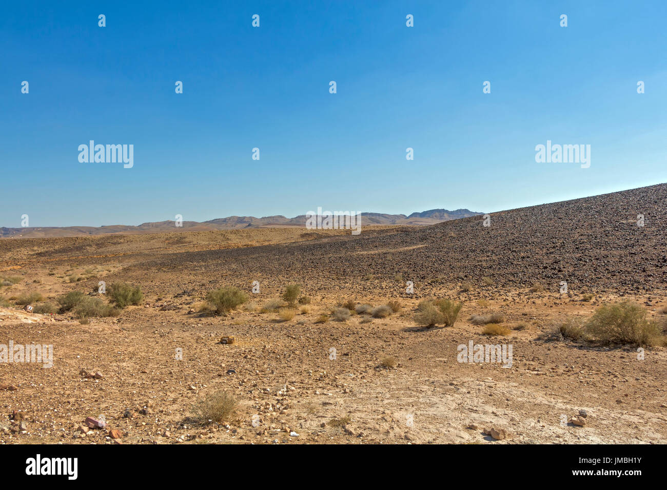 Death in the arabian desert hi-res stock photography and images - Alamy