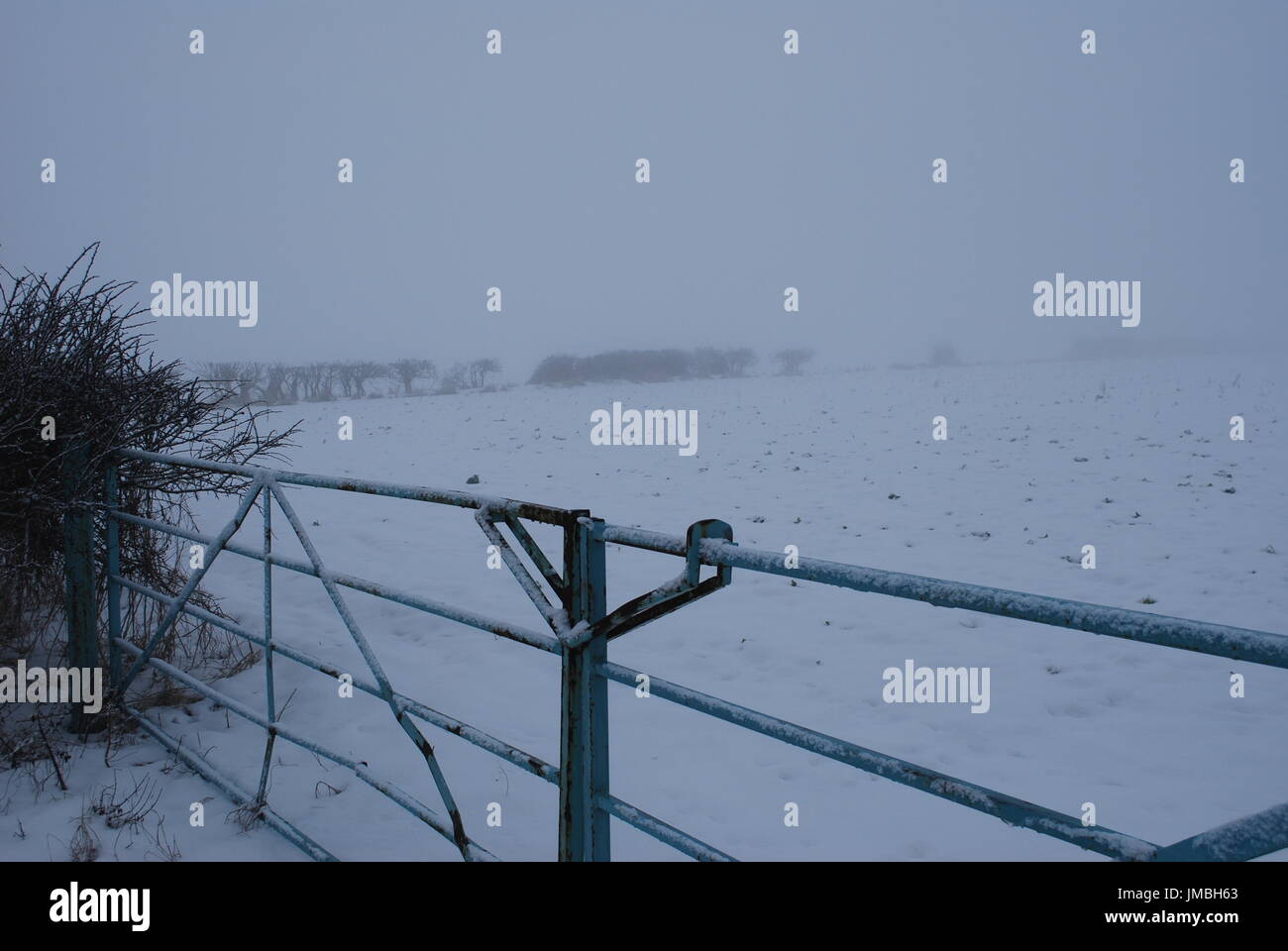 Snow covered field with blue metal gate Stock Photo - Alamy