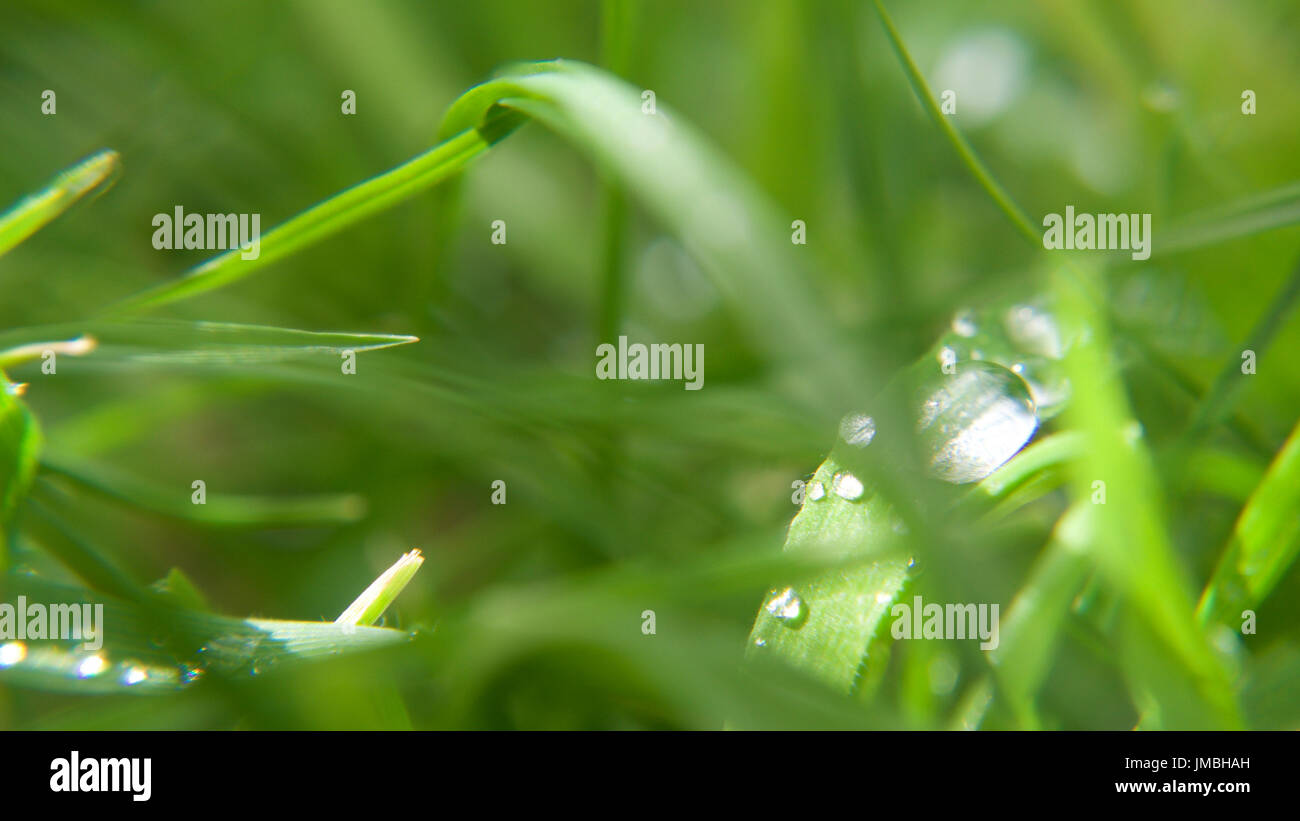 Blurred grass and water hi-res stock photography and images - Alamy
