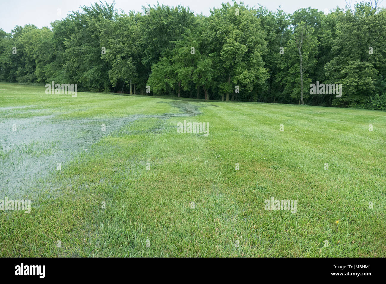 Rainstorm trees hi-res stock photography and images - Alamy
