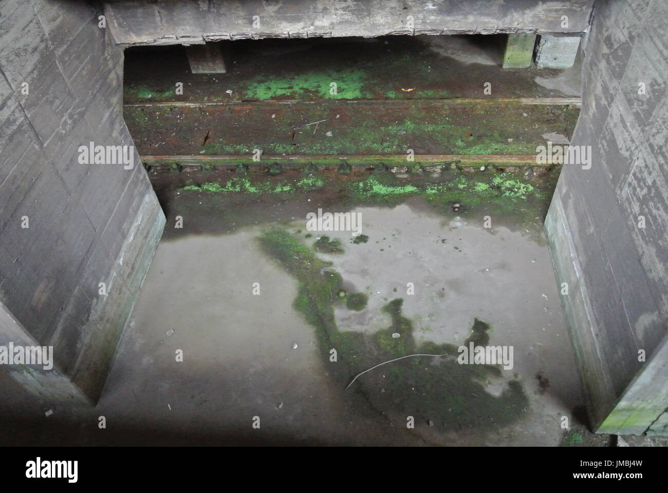 concrete floor with signs of plant growth and ageing at a Mollerbunker ...