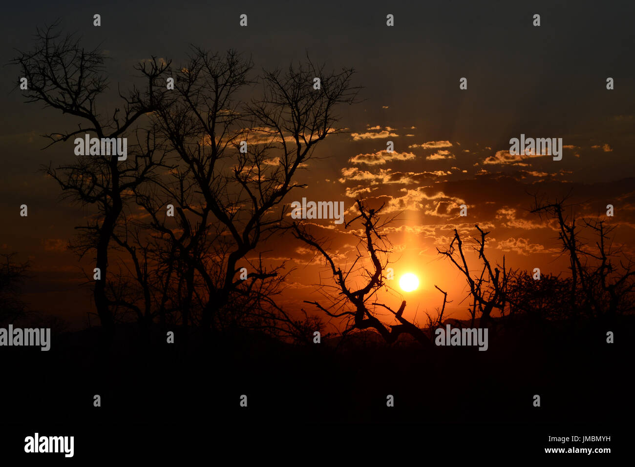 Madikwe Game Reserve Stock Photo - Alamy