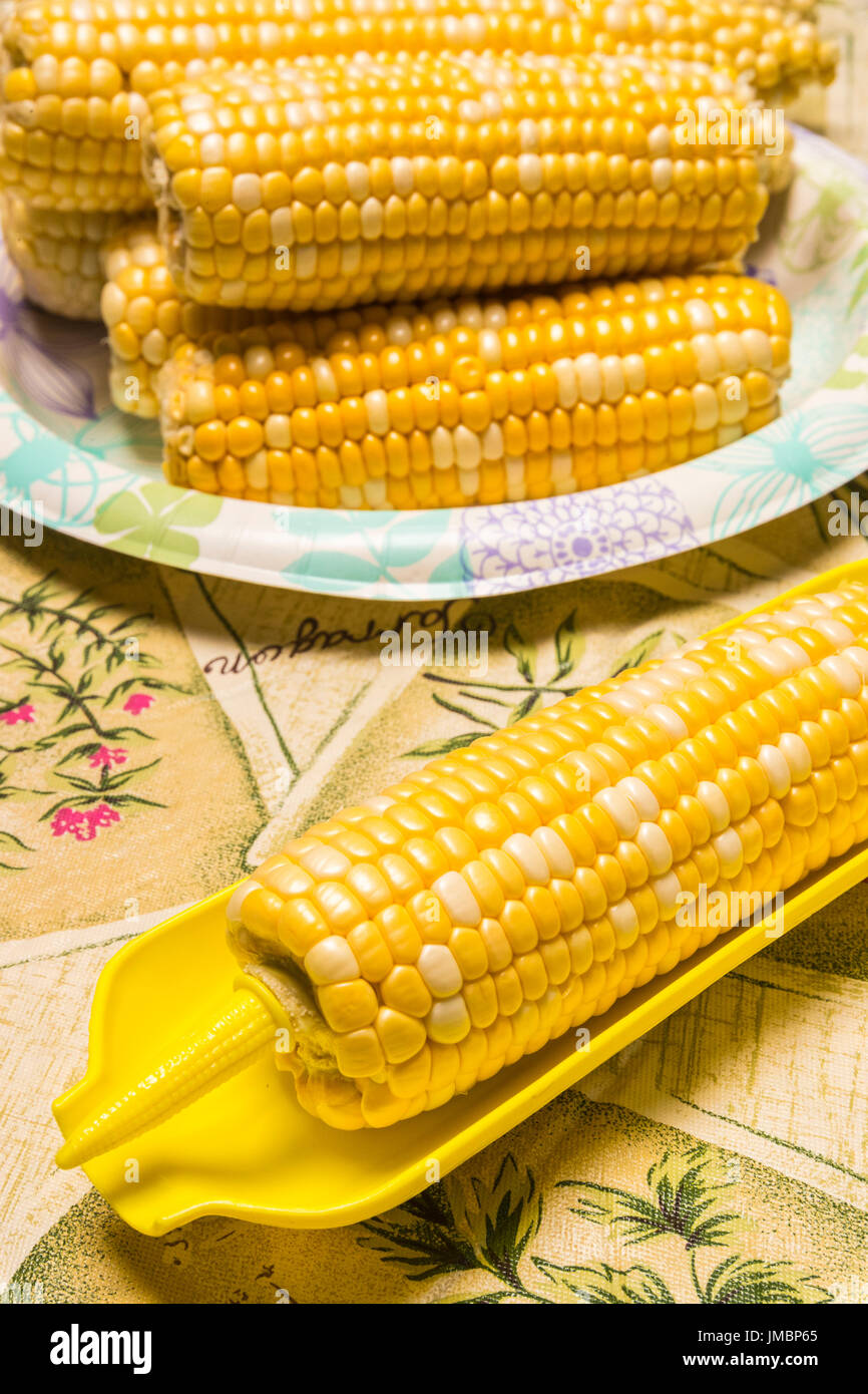 corn on the cob cooked Stock Photo - Alamy