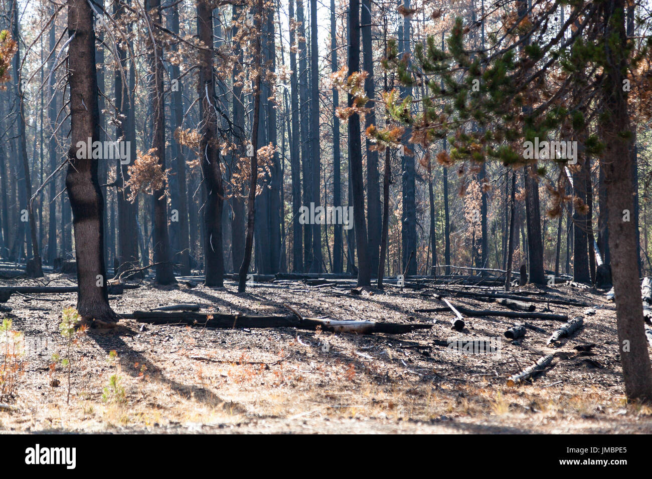 Smokey Crater High Resolution Stock Photography and Images - Alamy