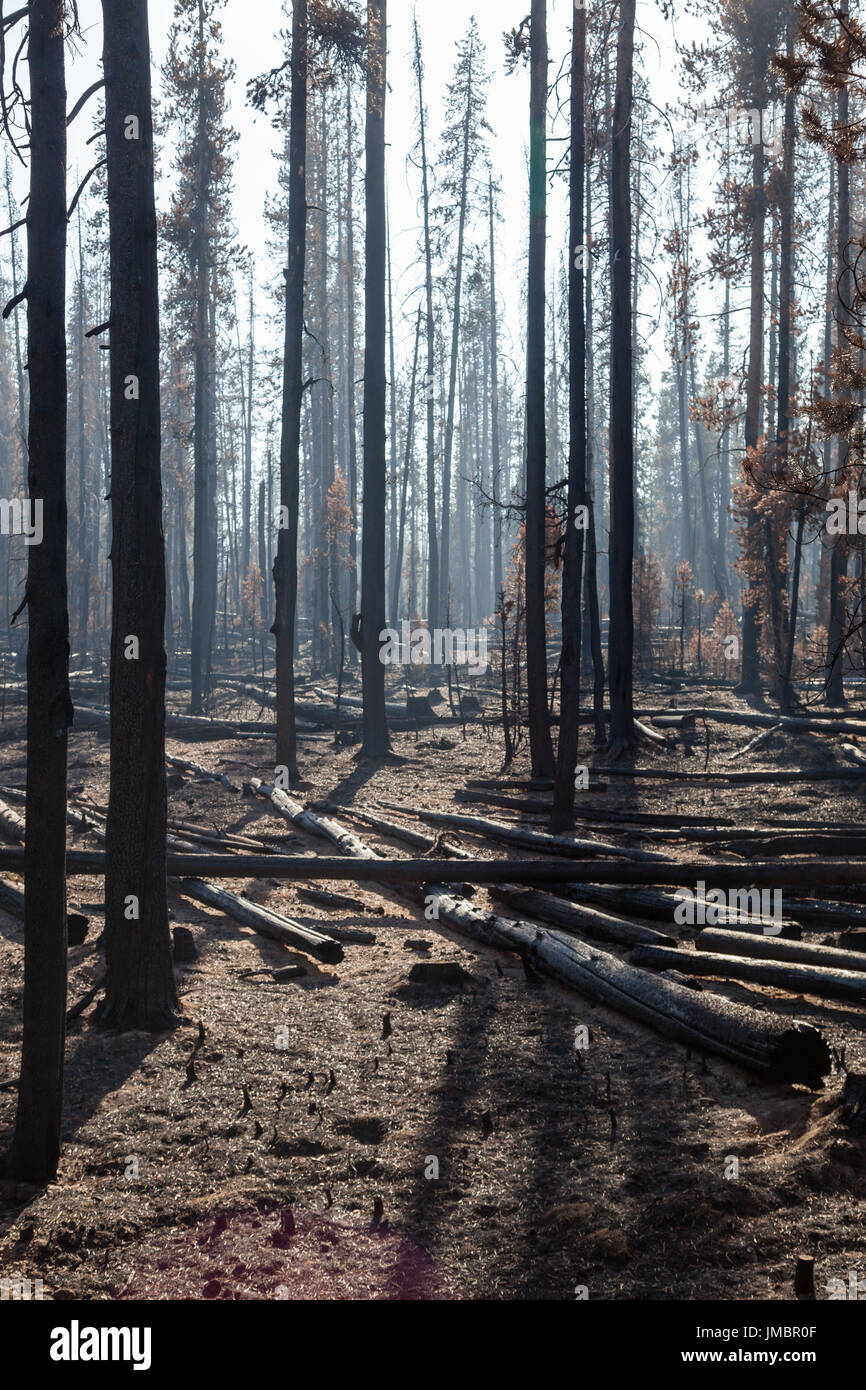 Lodge complex fire hi-res stock photography and images - Alamy